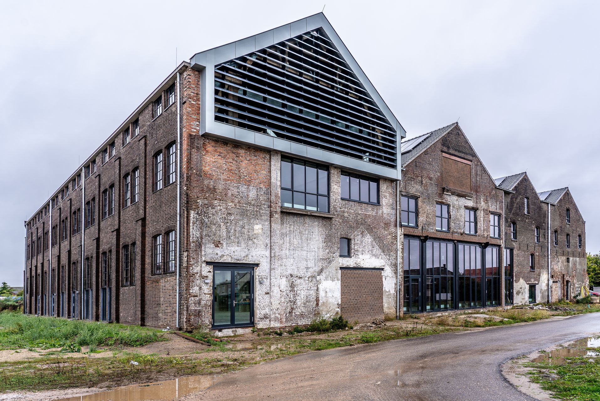 Glass Lewis and Its Effect on Companies and Society Today