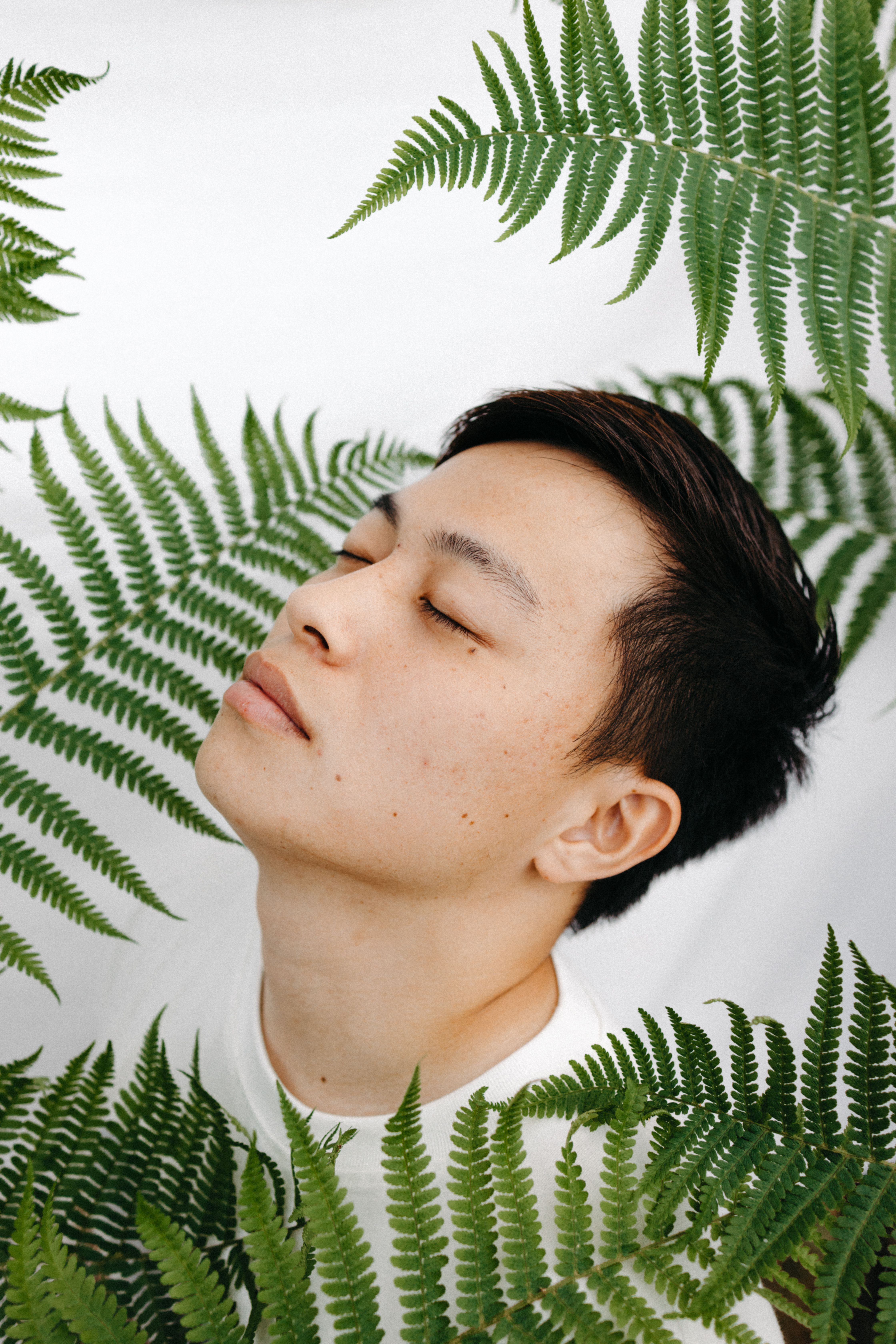 Japanese Men Photos, Download The BEST Free Japanese Men Stock Photos ...