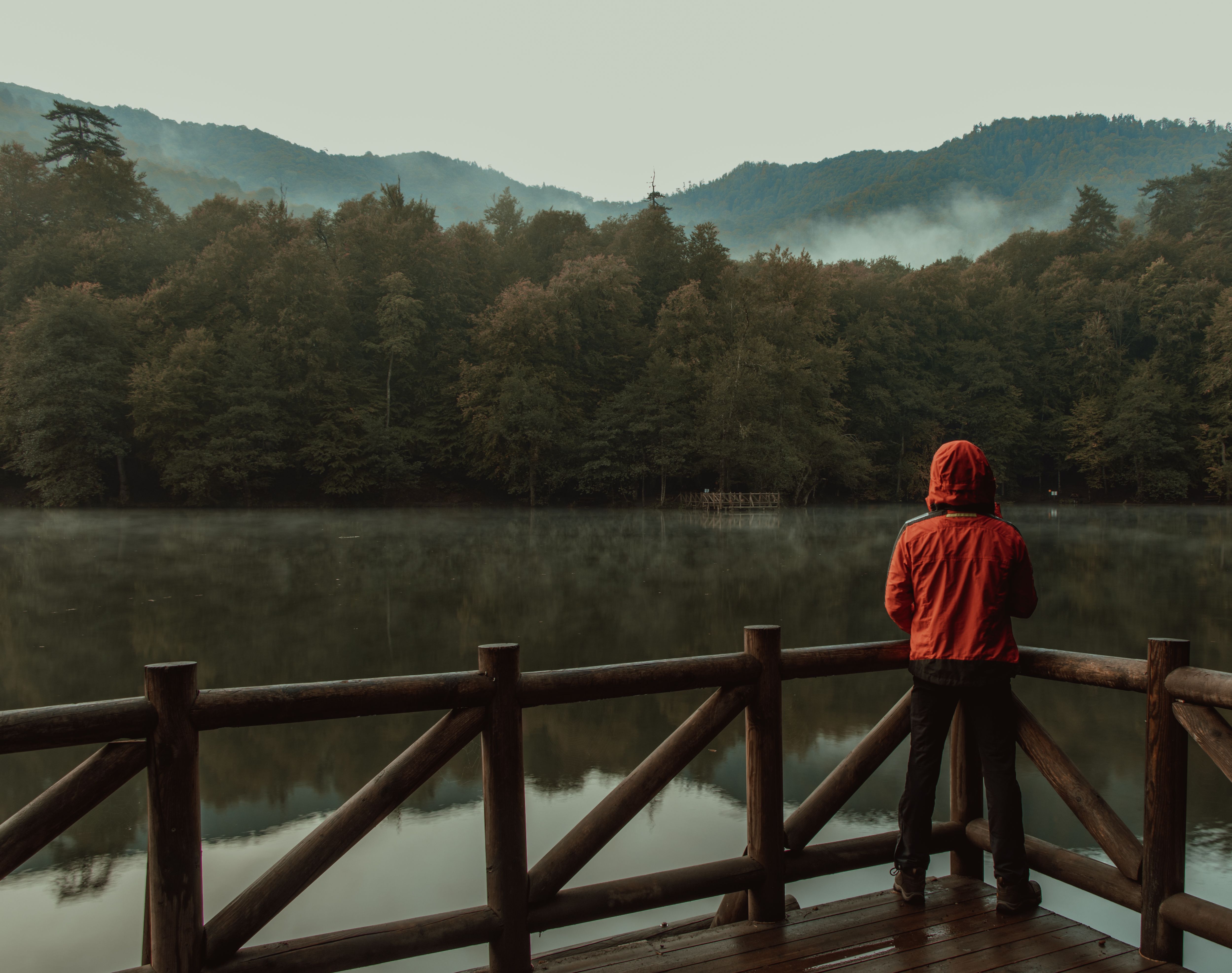 Wooden Railings on Flooded Deck · Free Stock Photo
