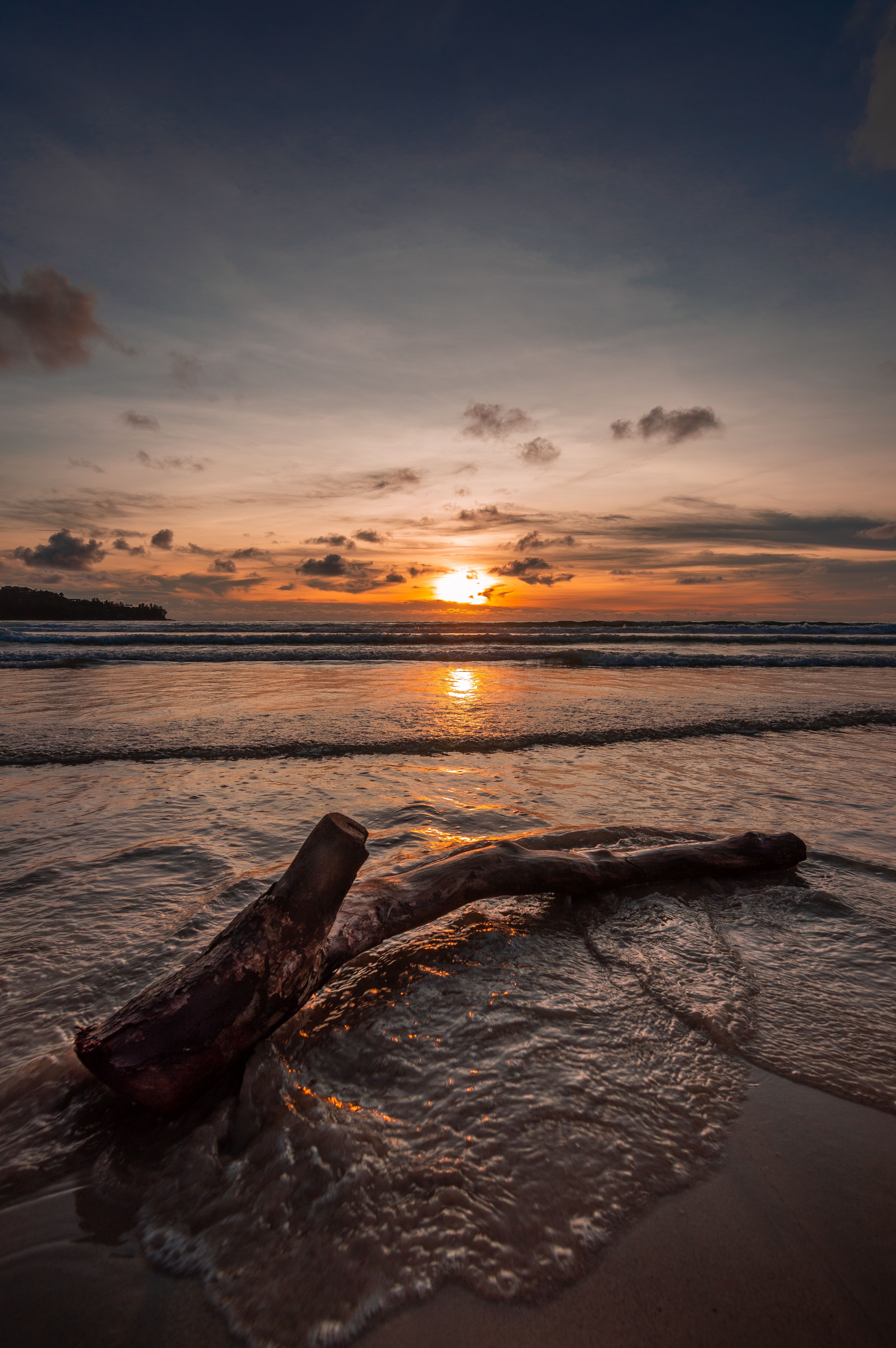 Tree Log on the Beach Shore · Free Stock Photo