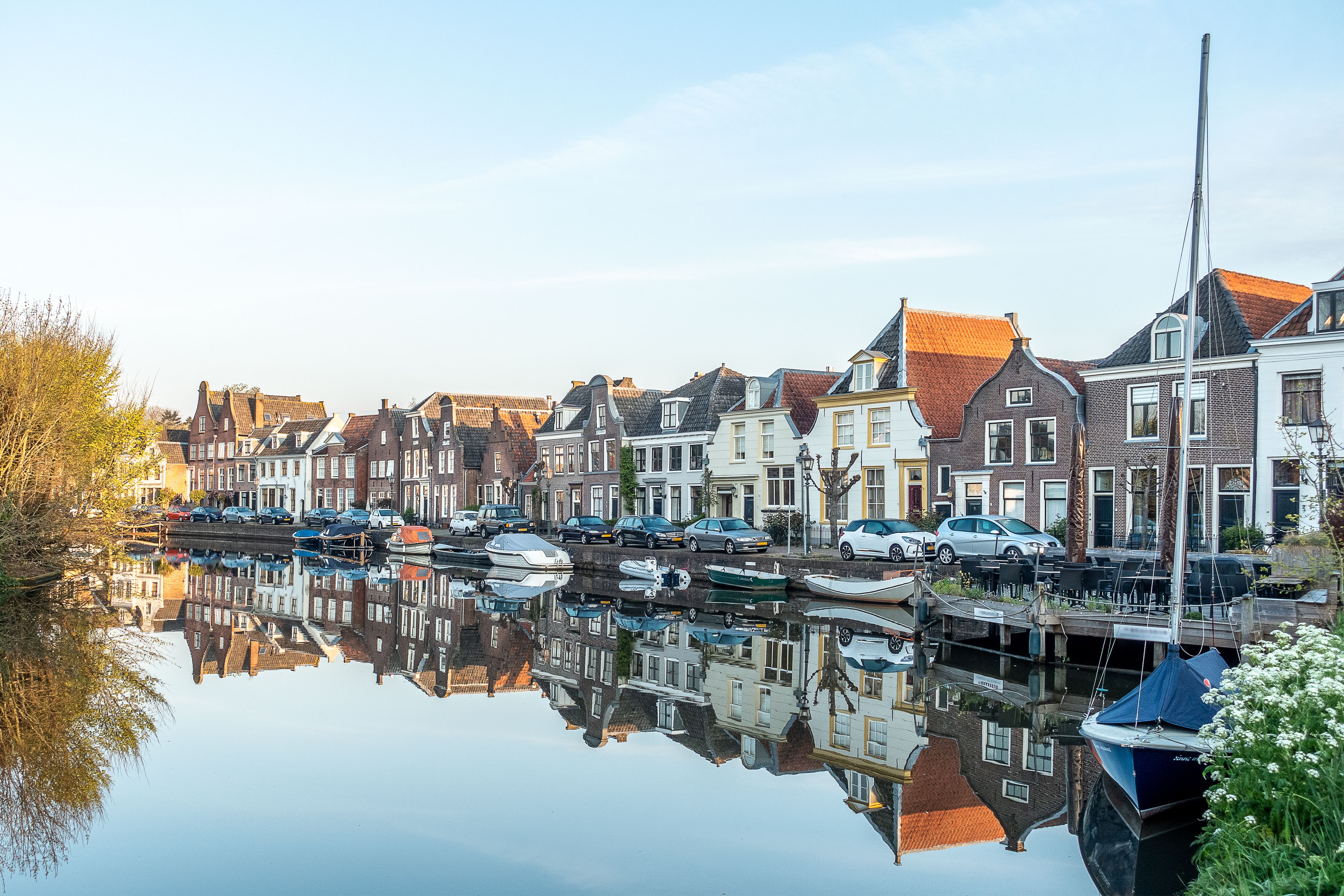 Tree over a Canal in a City · Free Stock Photo