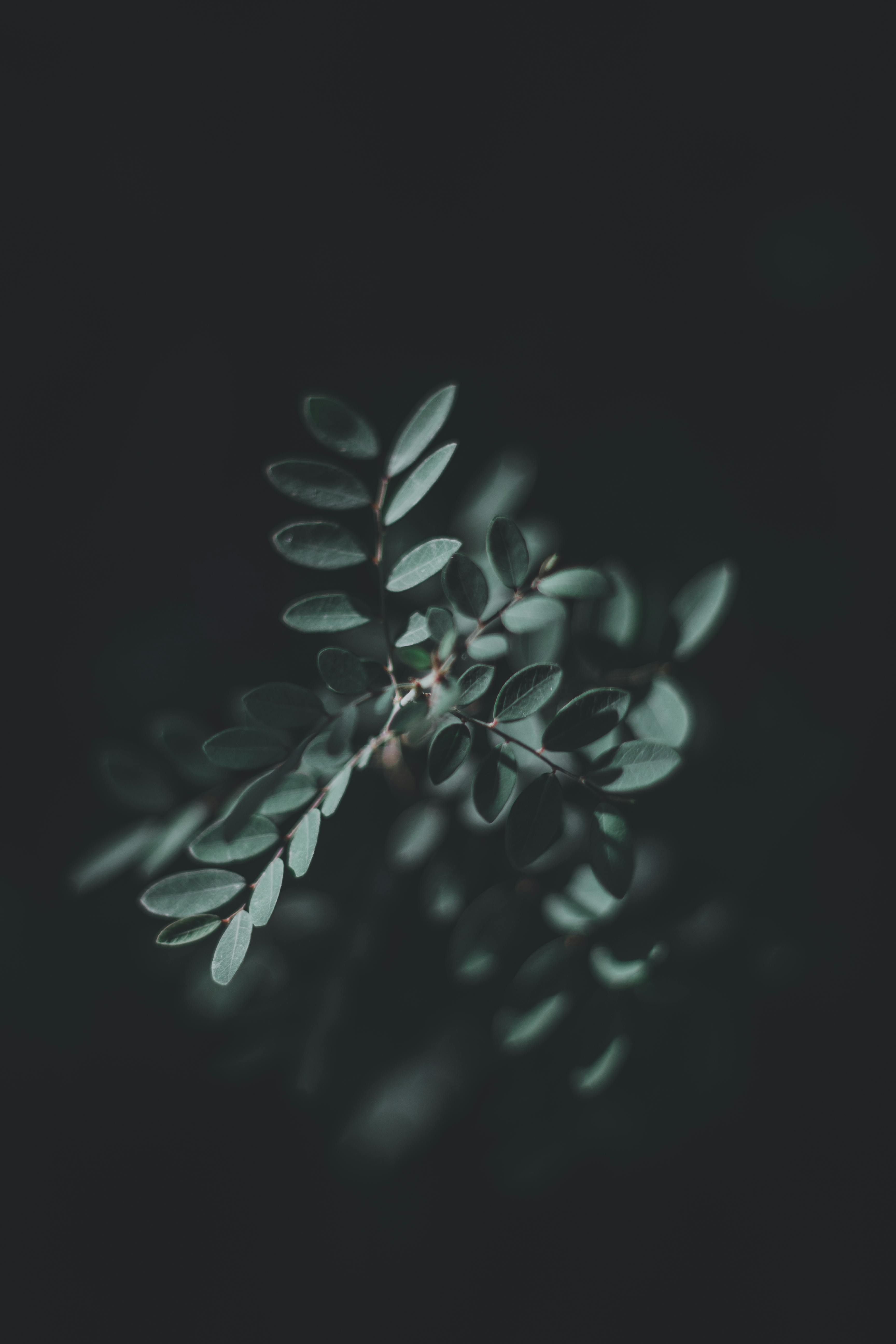 New Life Photos Photos, Download The BEST Free New Life Photos Stock ...