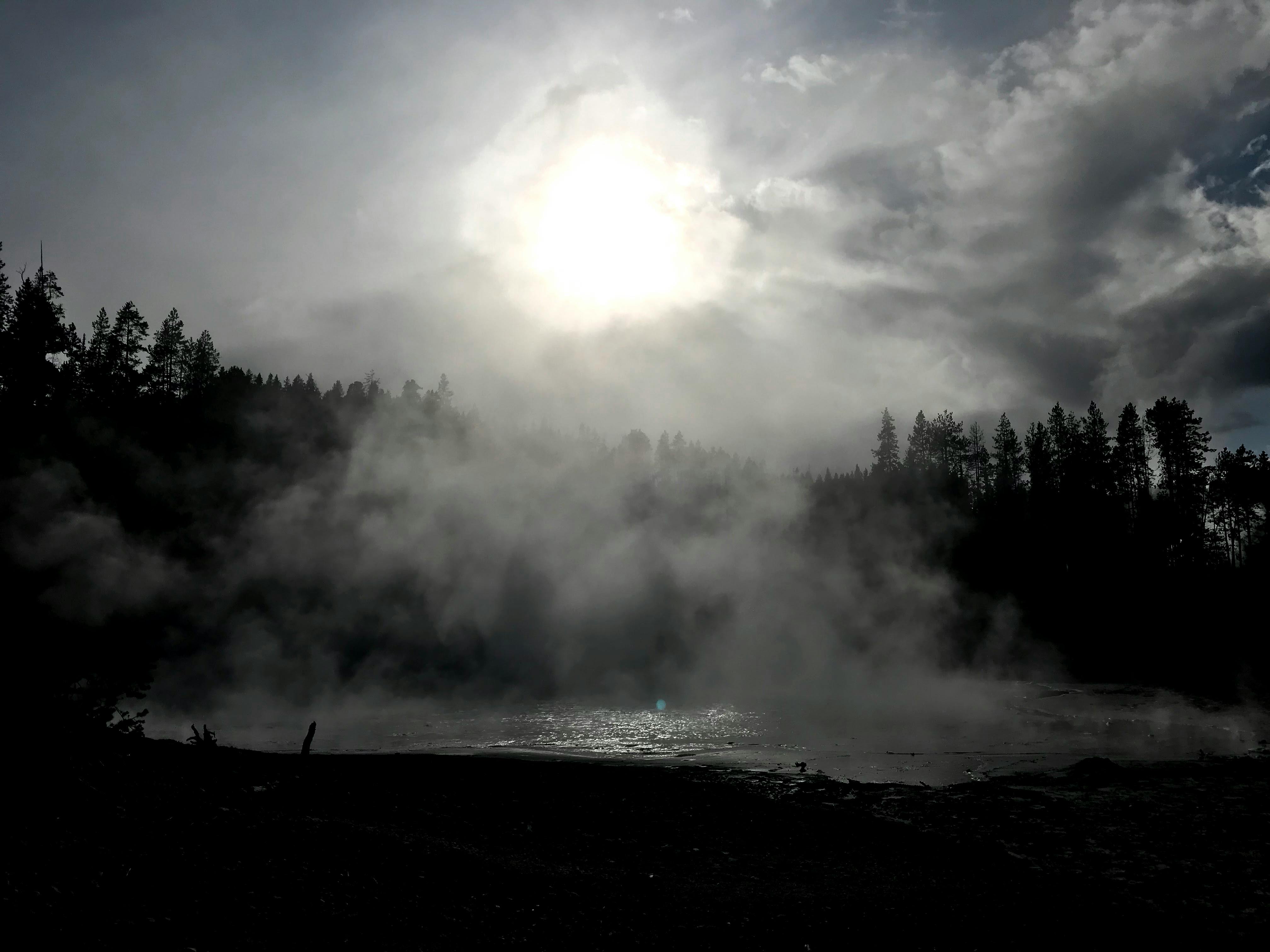 Daniel Gray - 사진