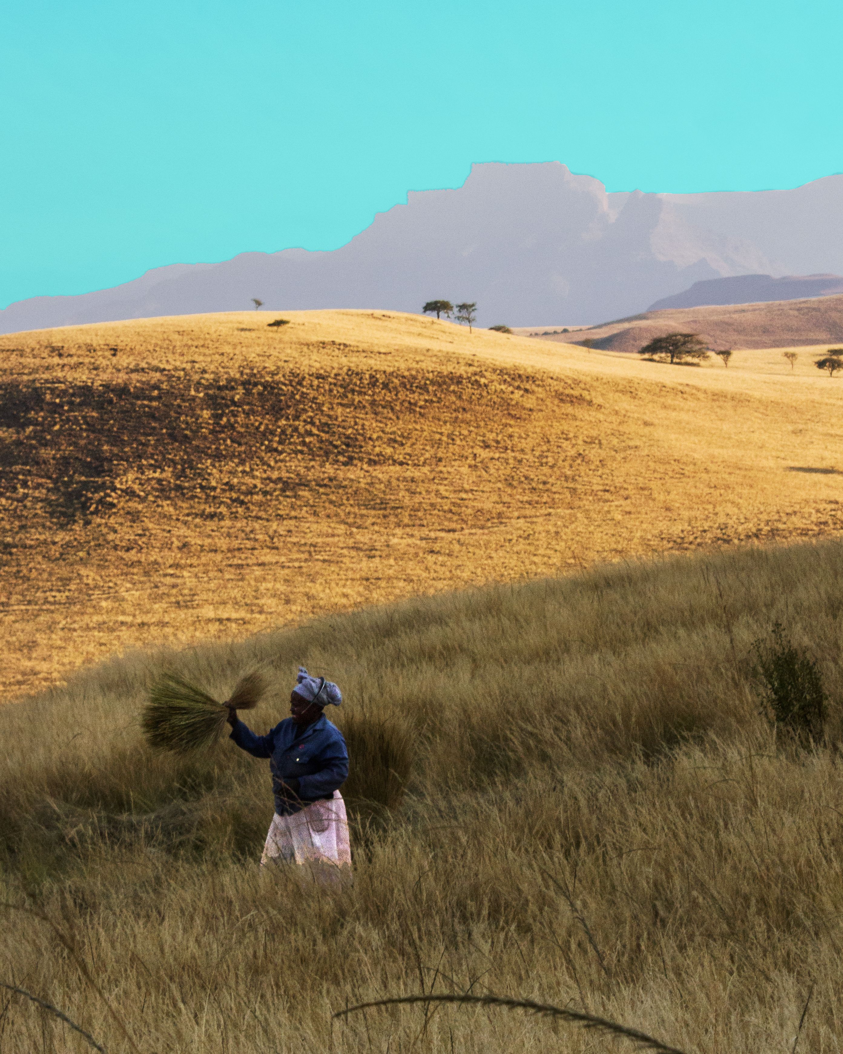 Woman Working on Field · Free Stock Photo