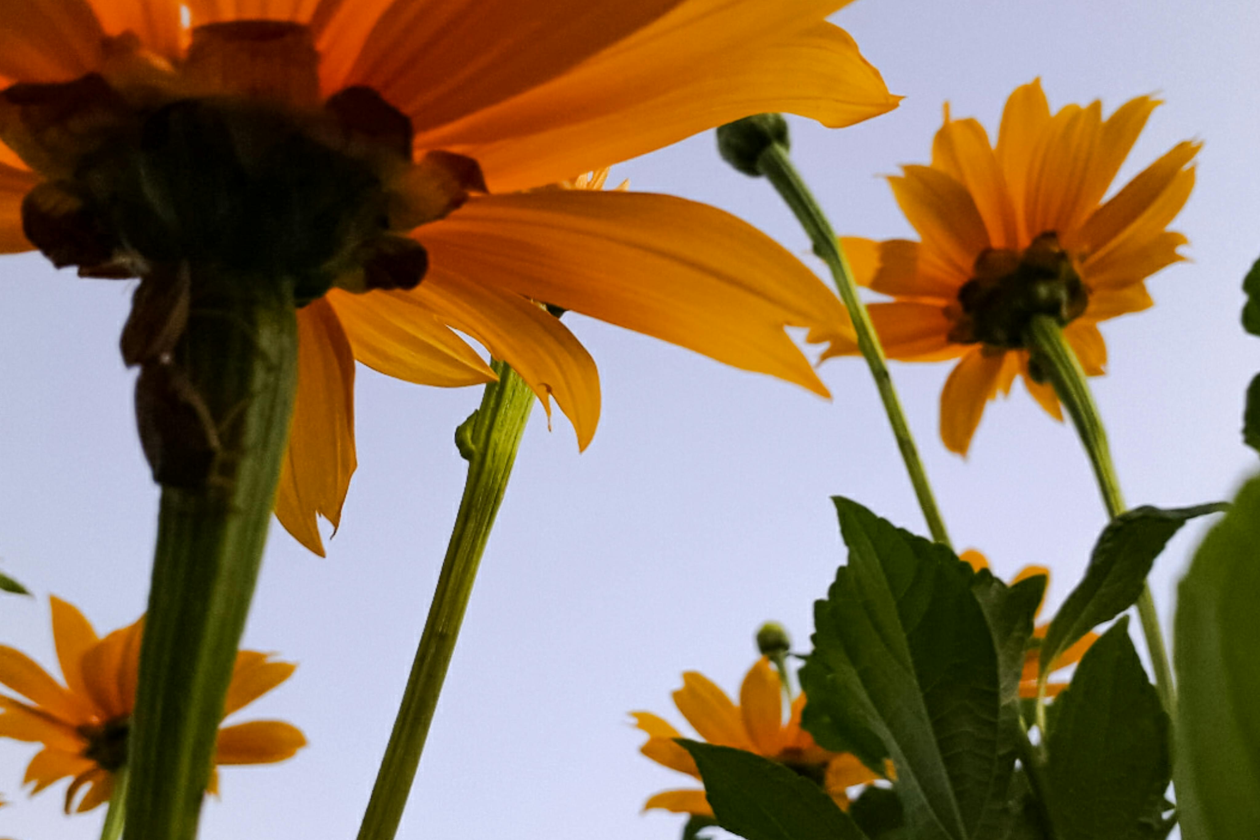 Denis Matias - Photography