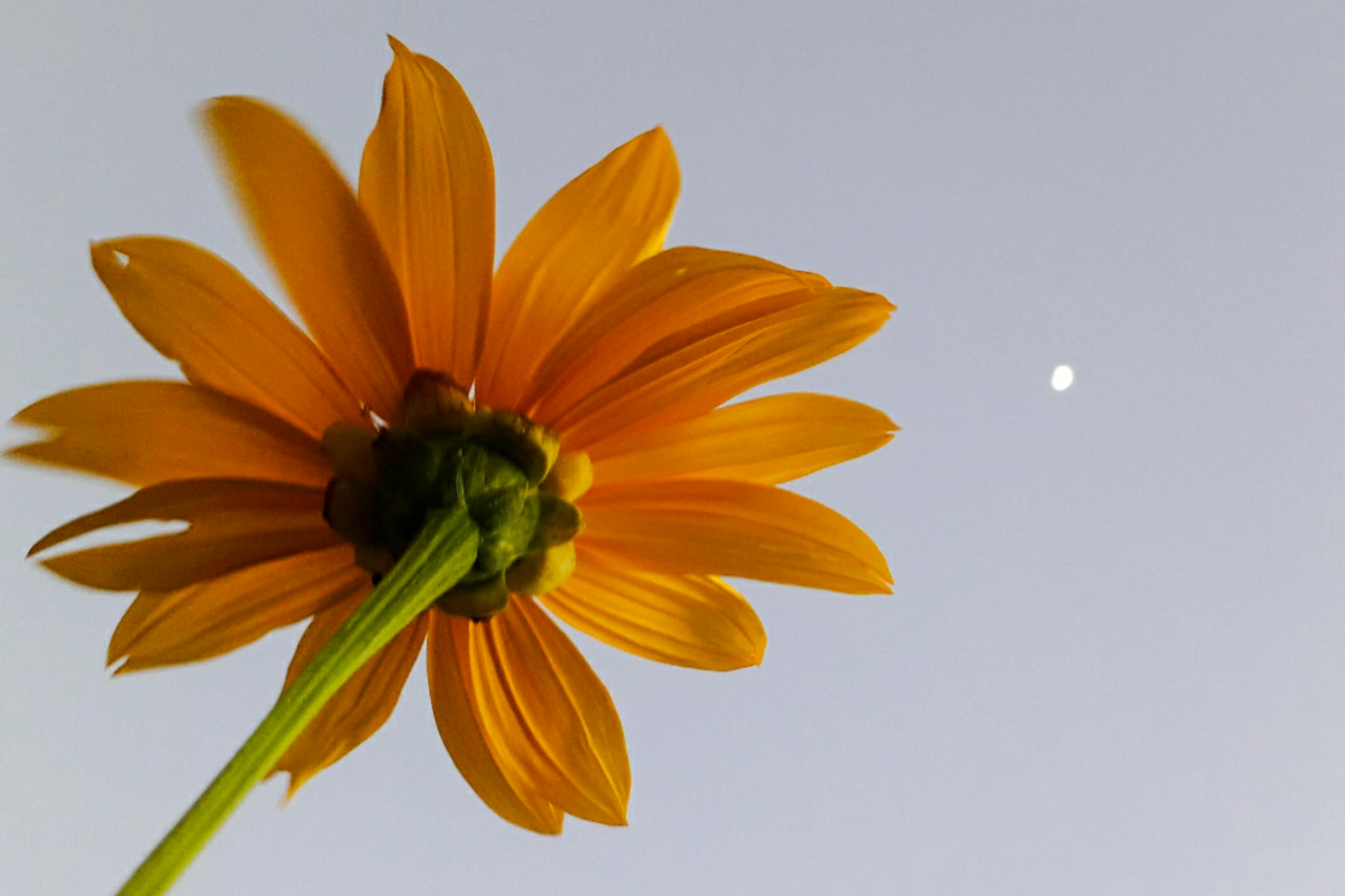 Denis Matias - Photography