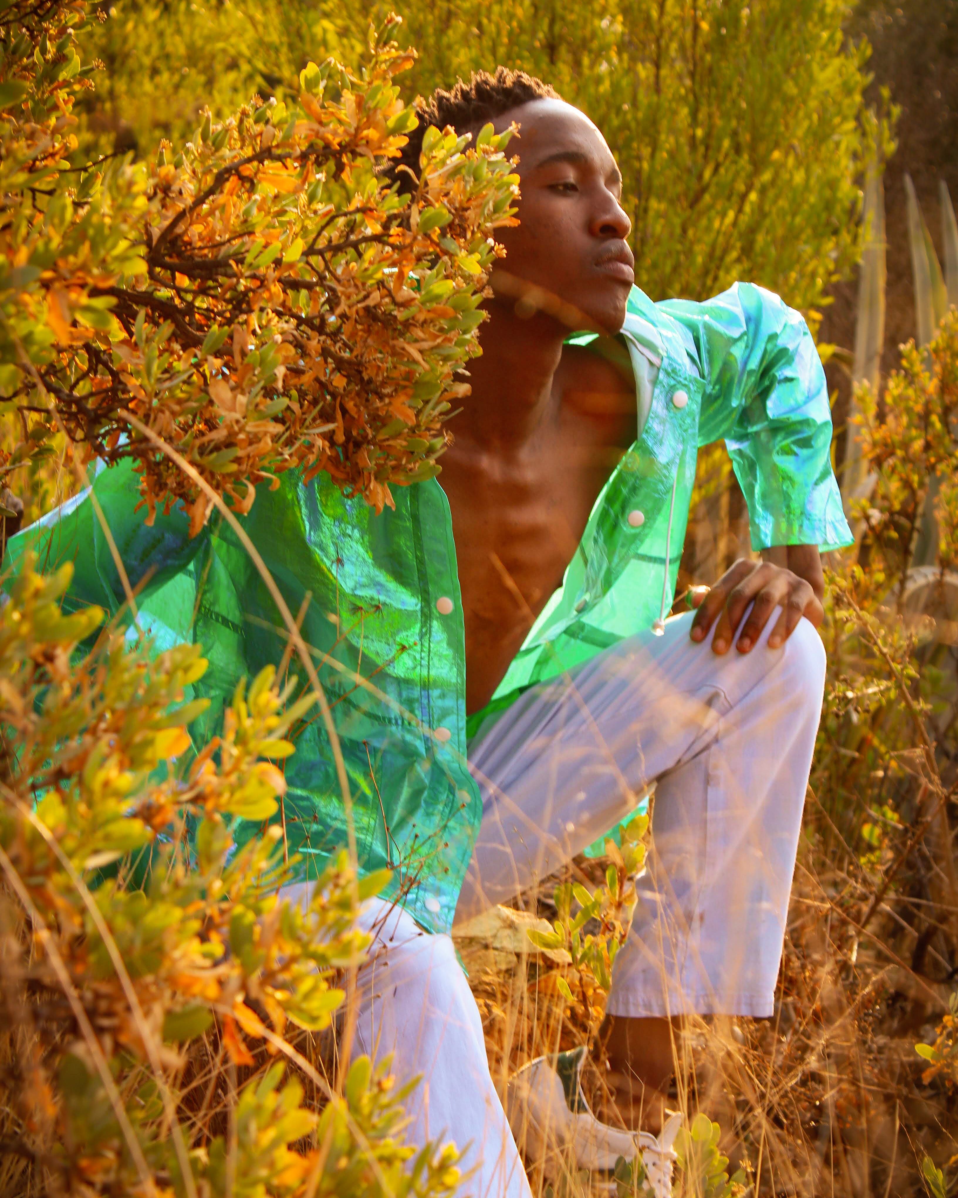 Portrait of Man Posing Between Autumn Leaves · Free Stock Photo