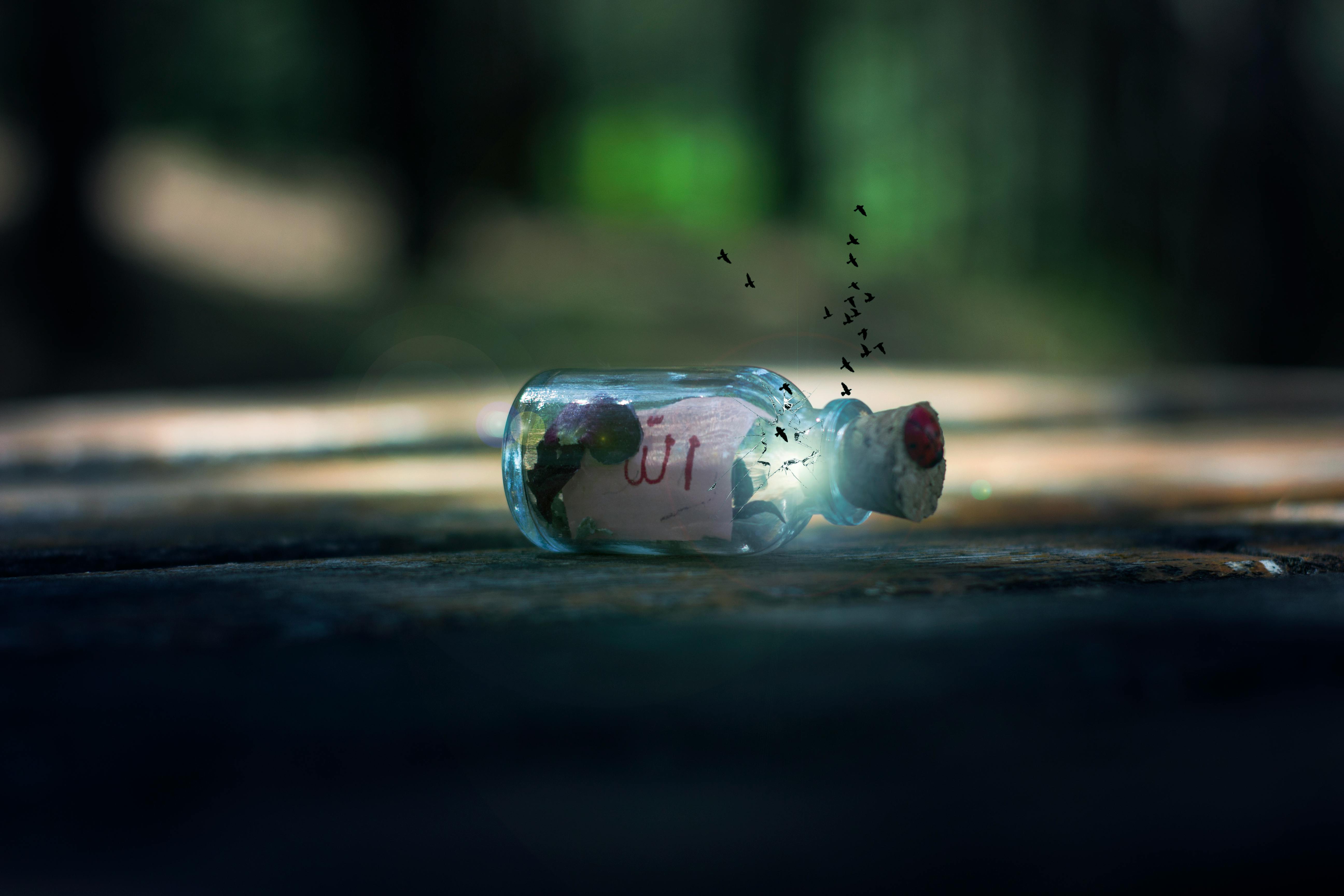 Free stock photo of blur, blurred, dark