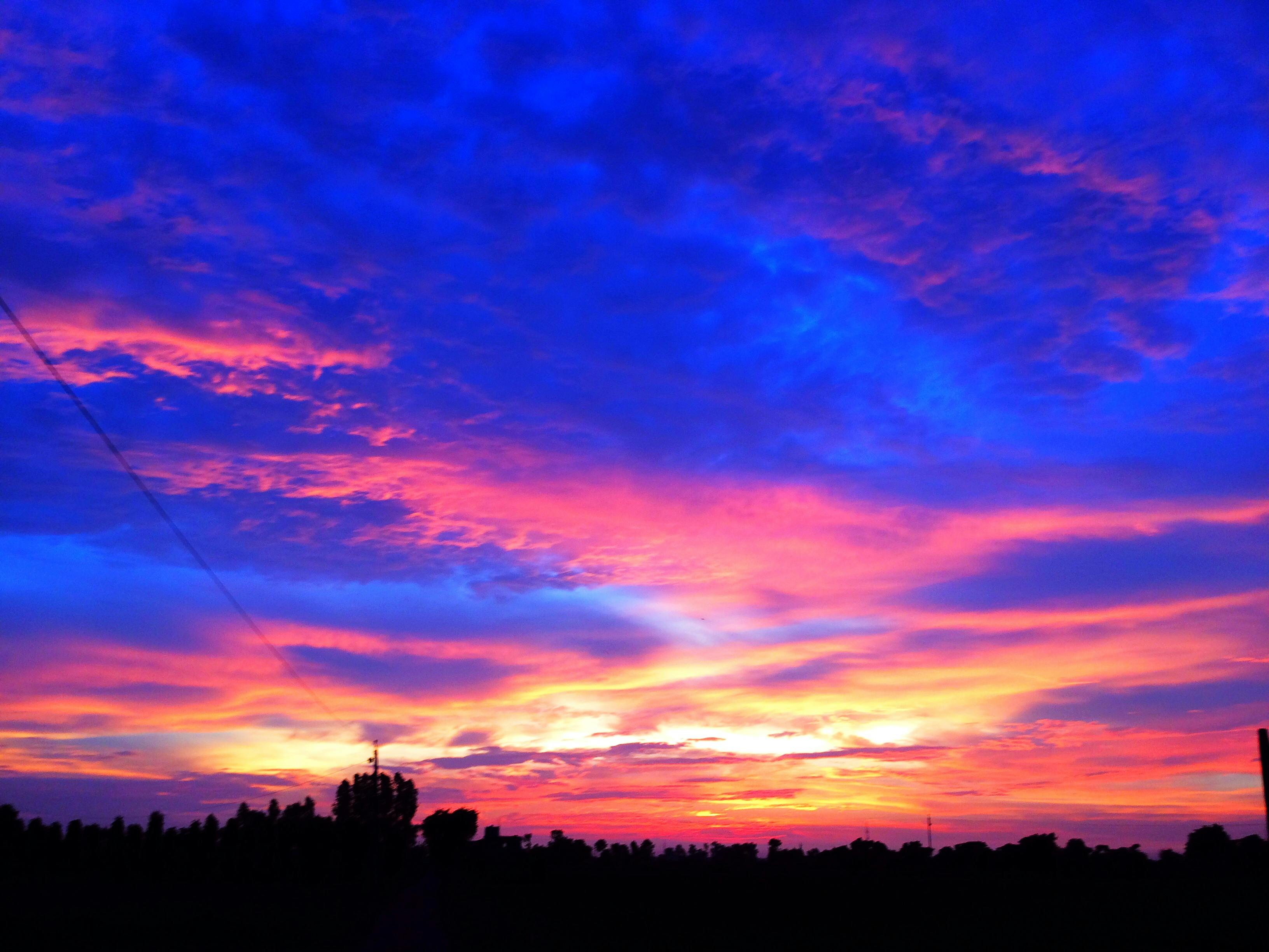Free stock photo of autumn colours, colours, sky