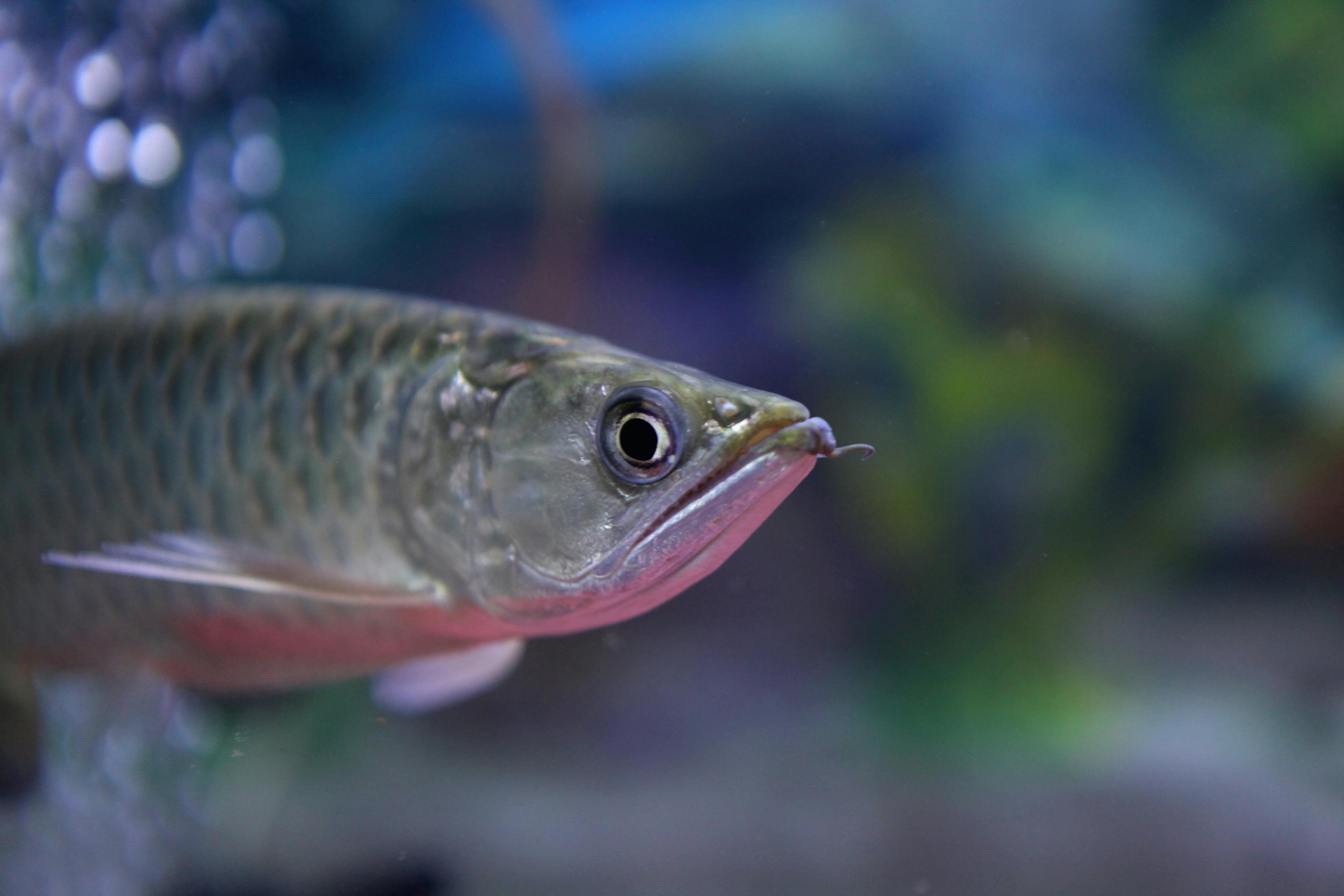 Riki Risnandar - Photography