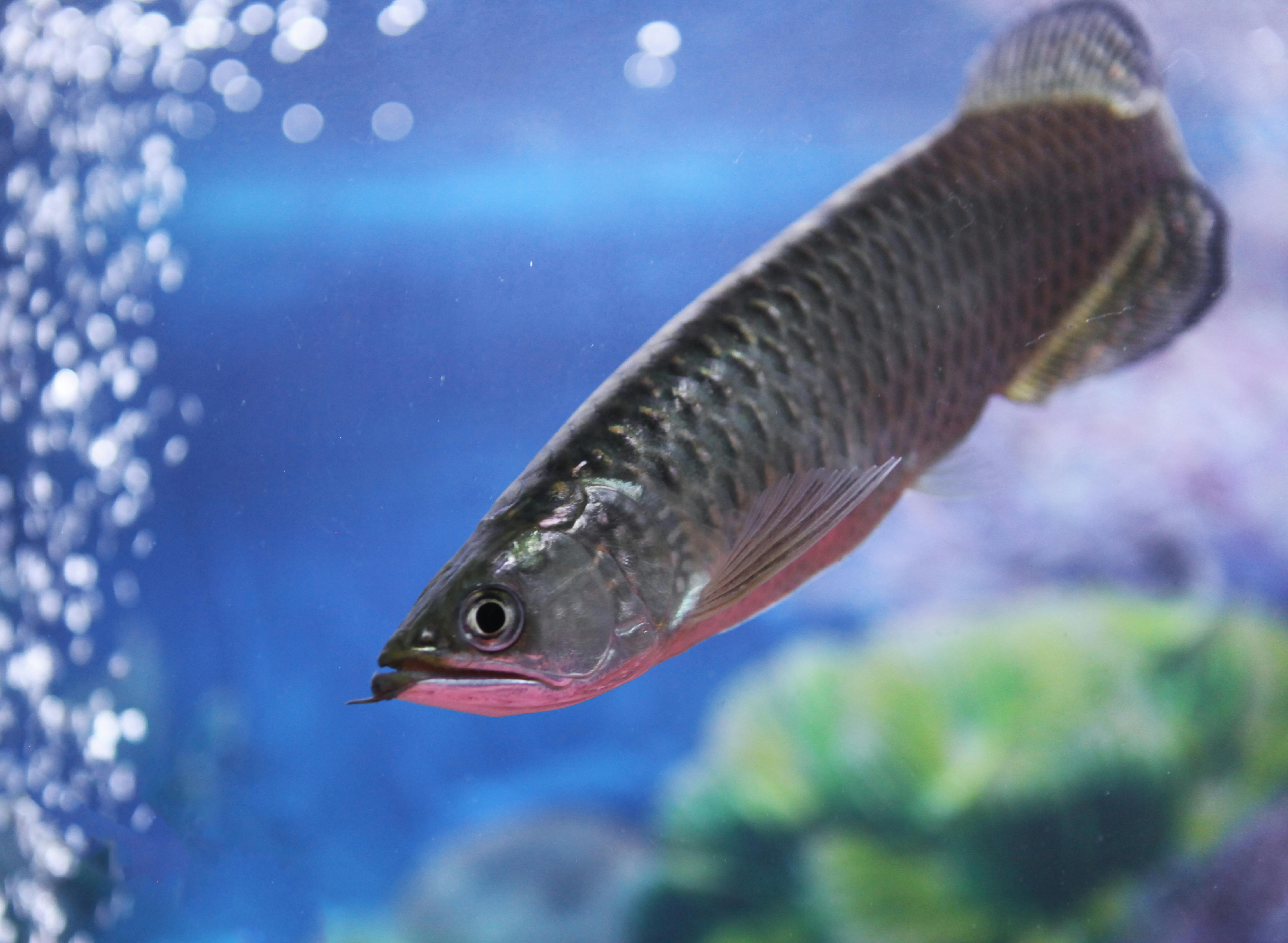 Riki Risnandar - Photography