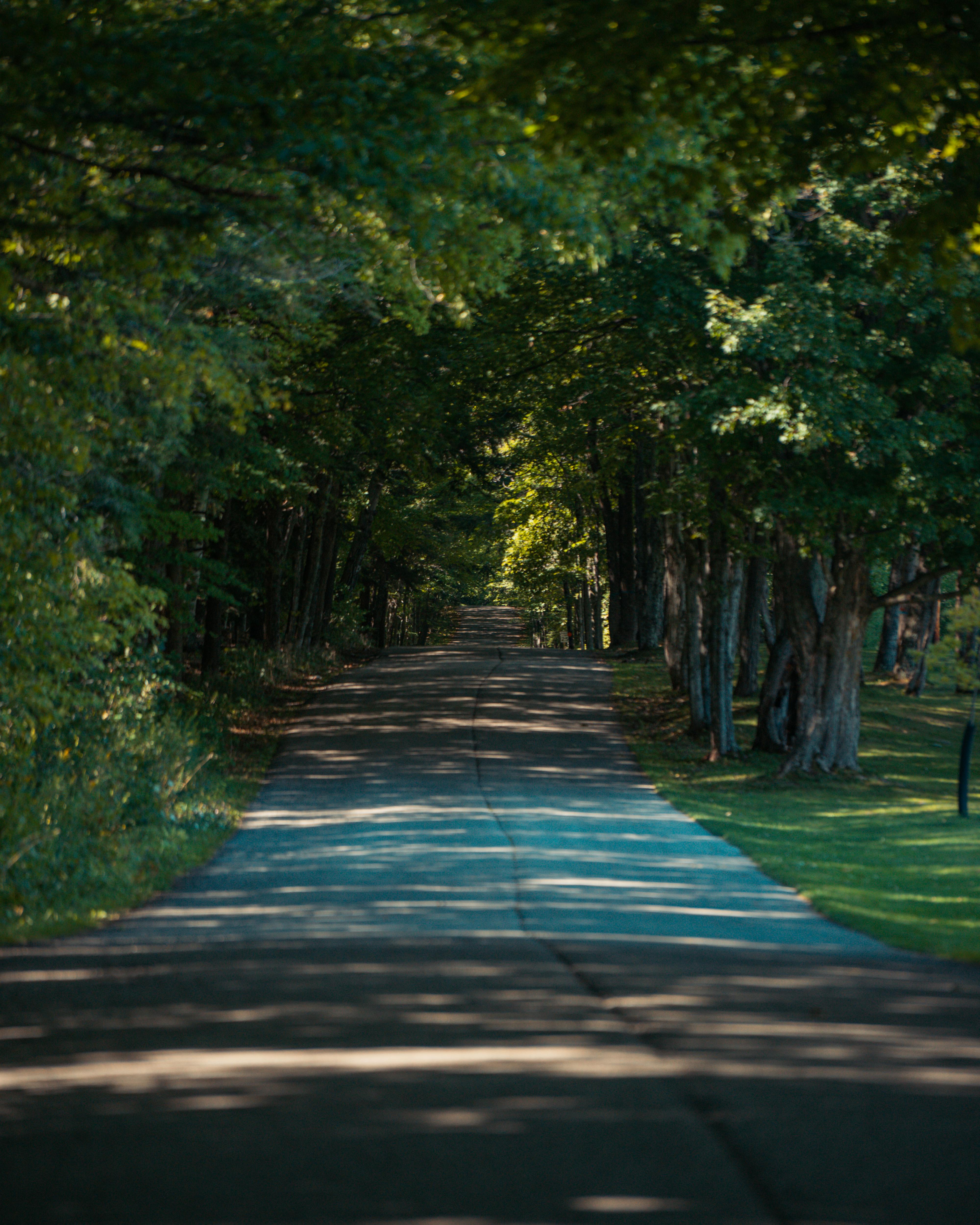 Park Alley in Shade · Free Stock Photo