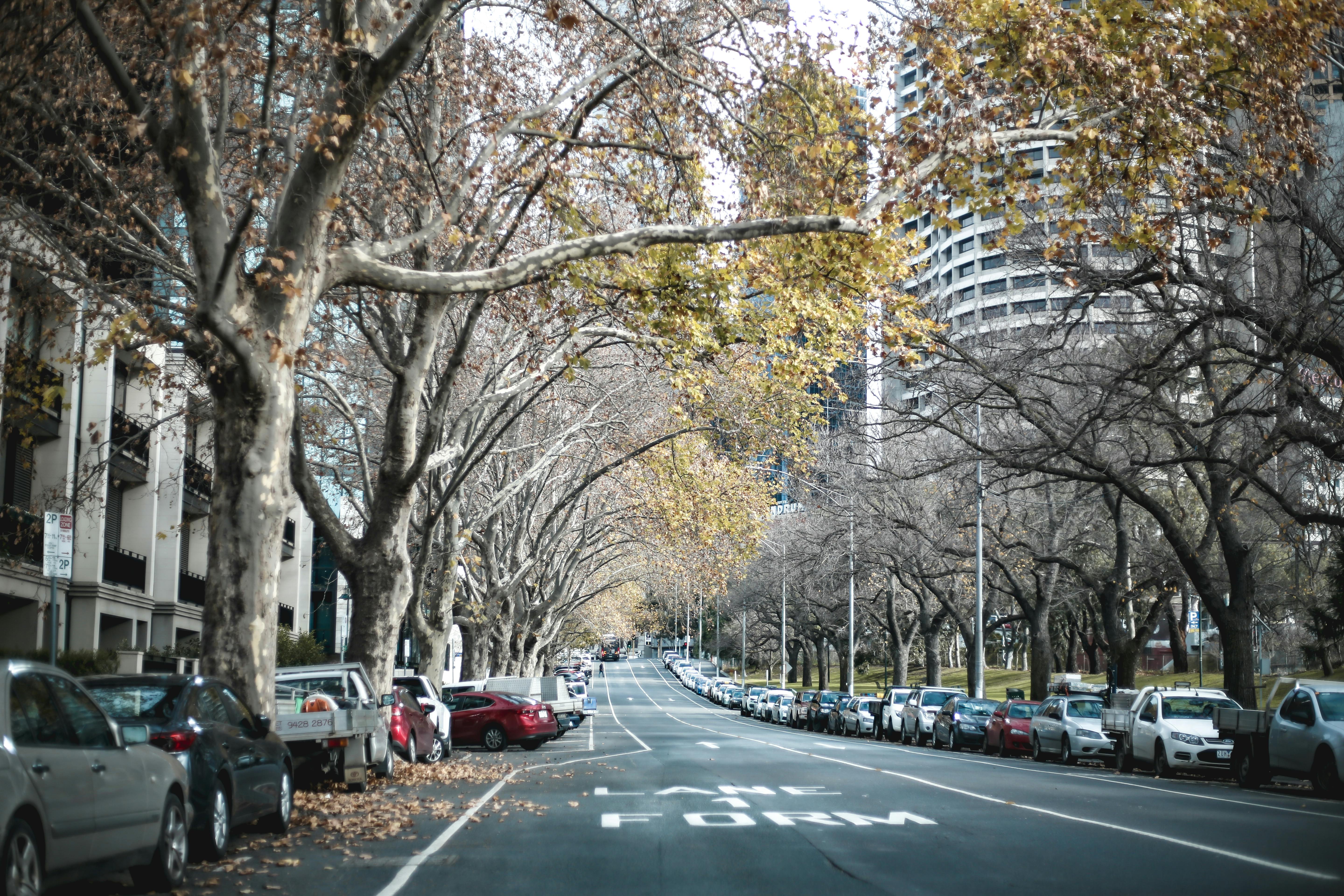 A Road in a City with Parked Cars · Free Stock Photo