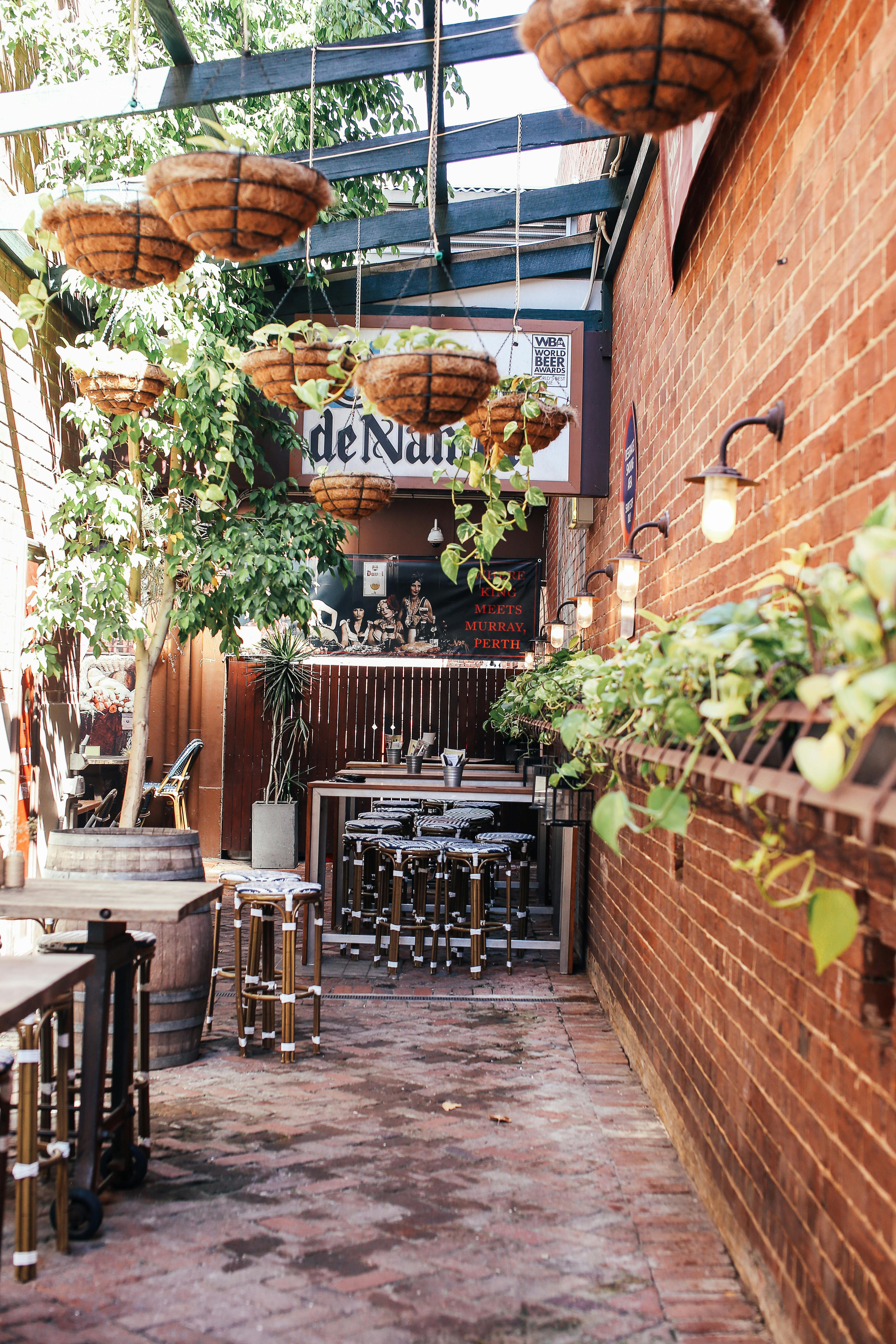 Terrace of cafe with green plants · Free Stock Photo
