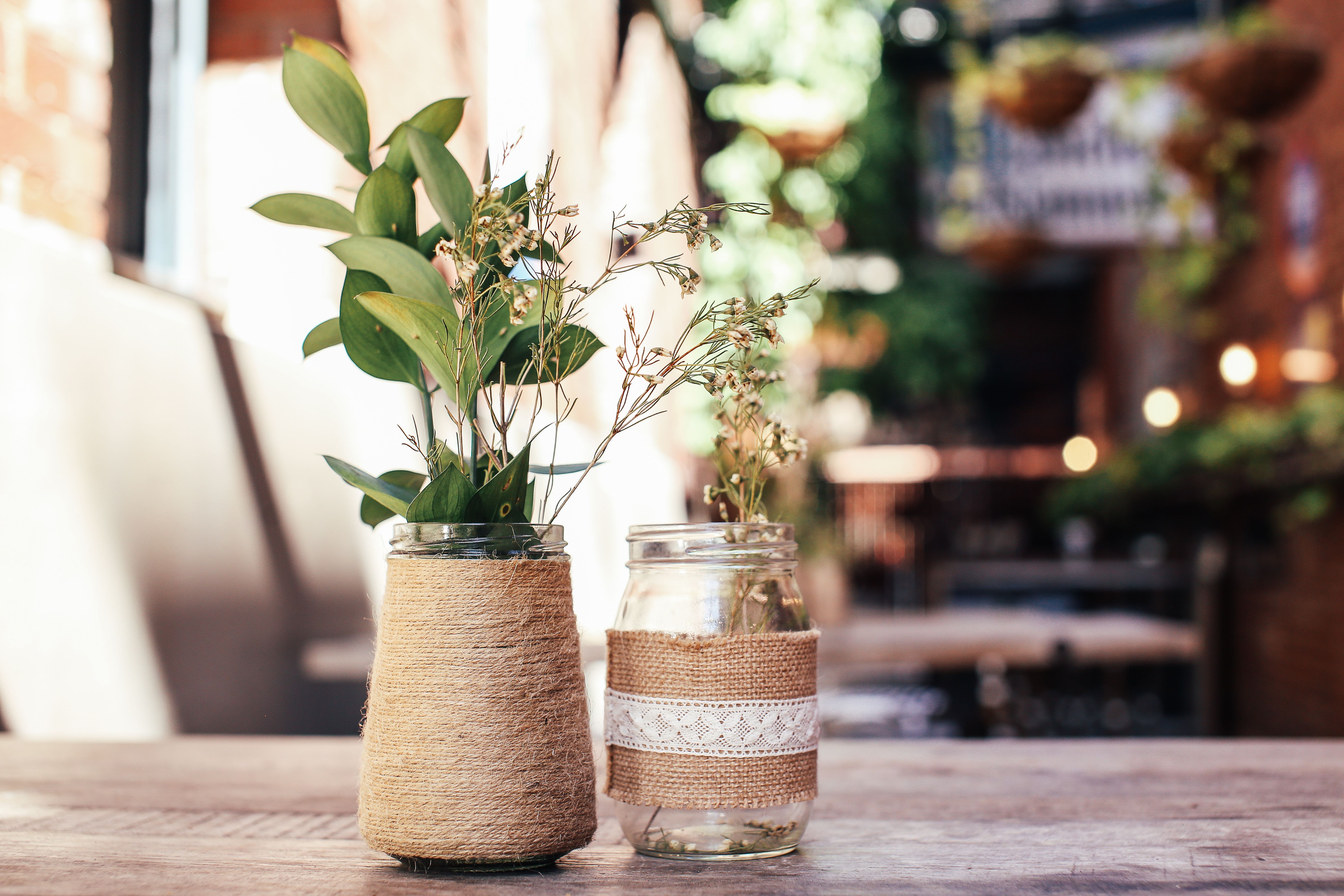 Vases with flowers in cafe · Free Stock Photo