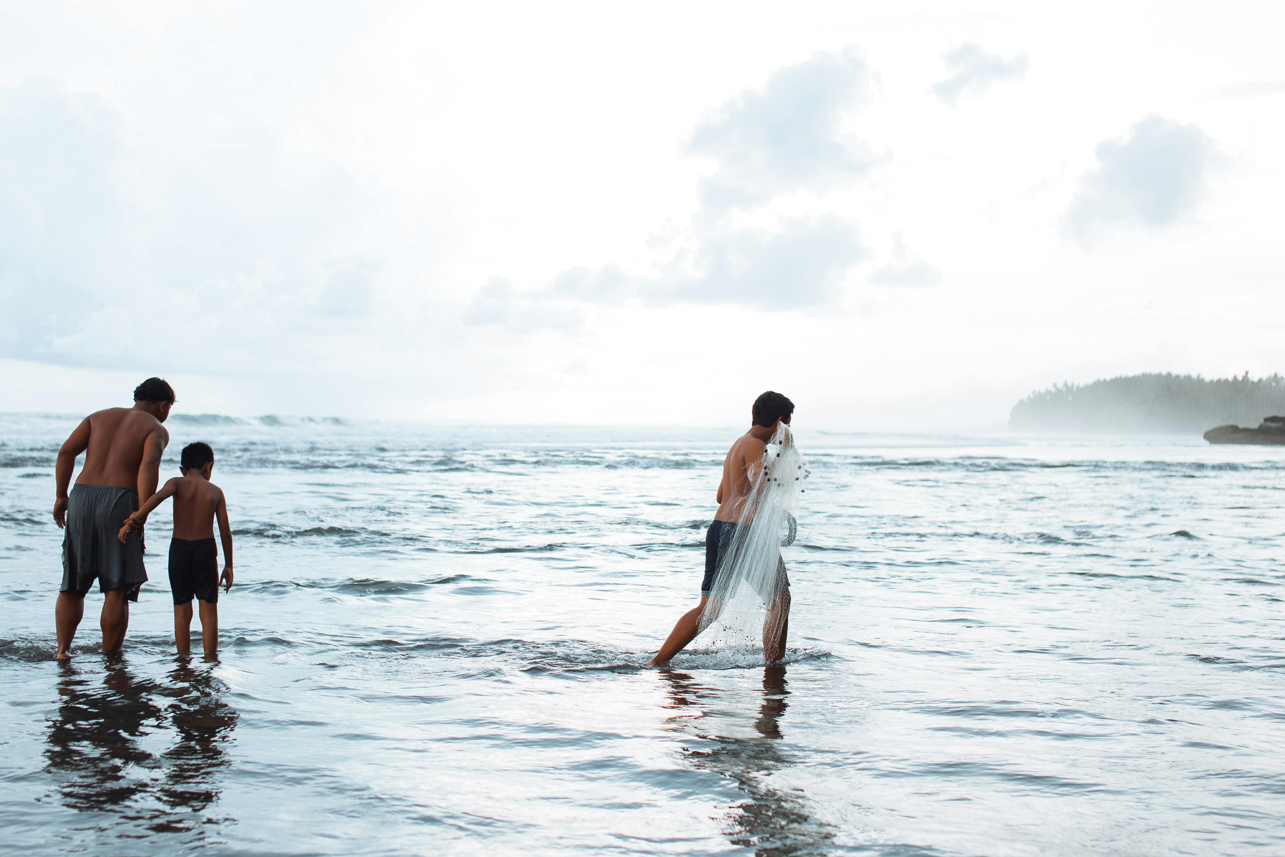 Aerial View of People on Beach at Sunset Casting Shadows · Free Stock Photo