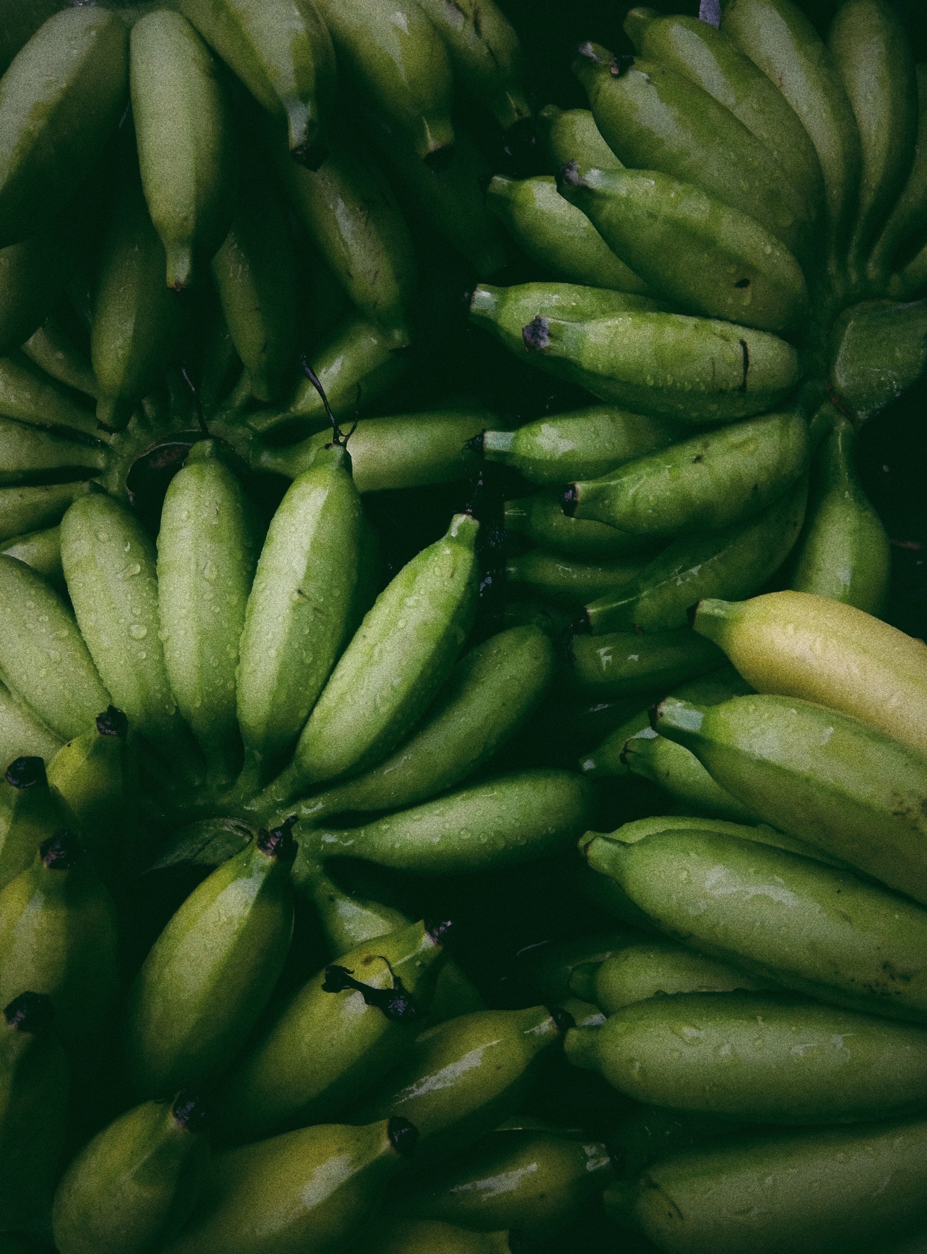 Close up of Bananas · Free Stock Photo