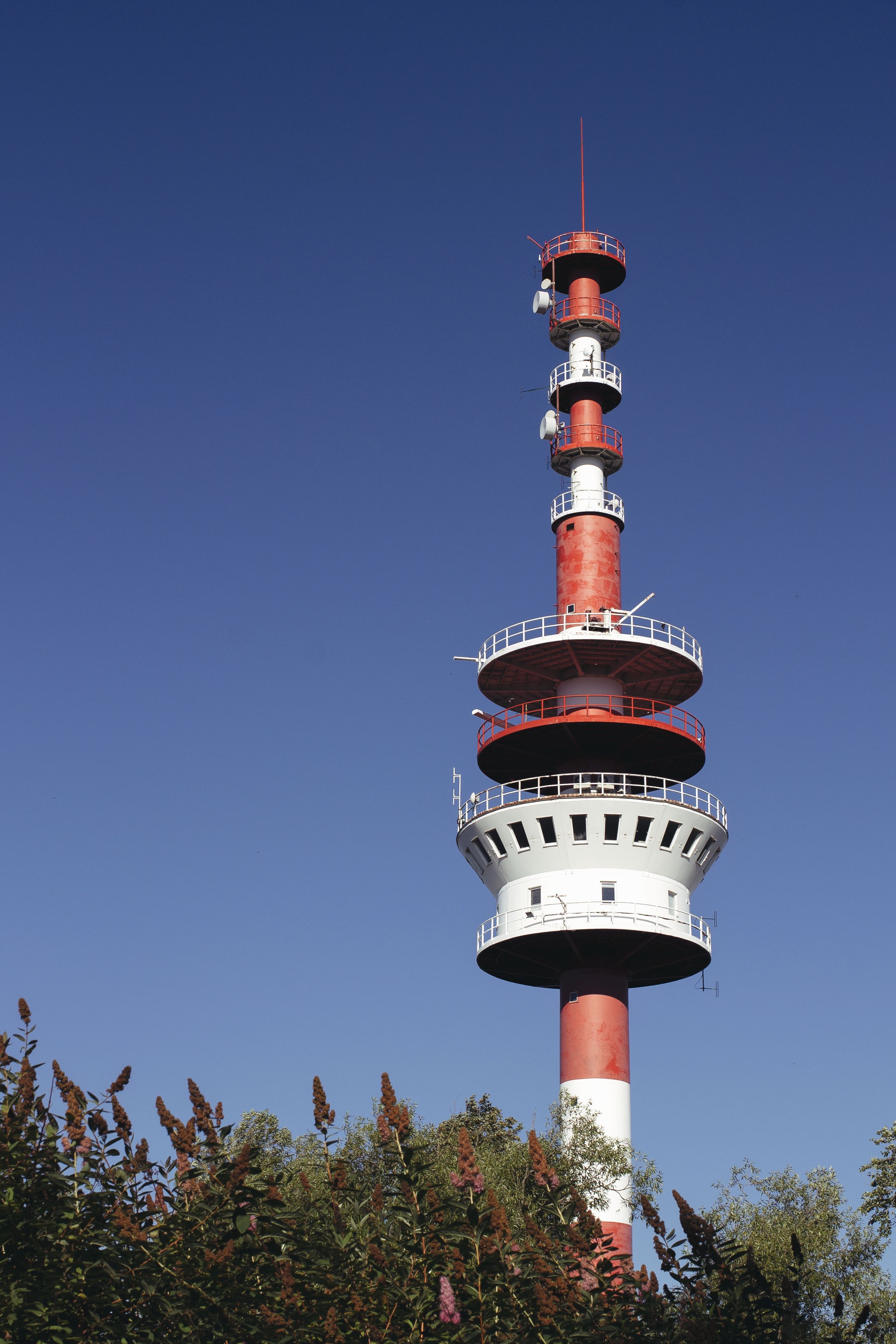 View of a Tower · Free Stock Photo