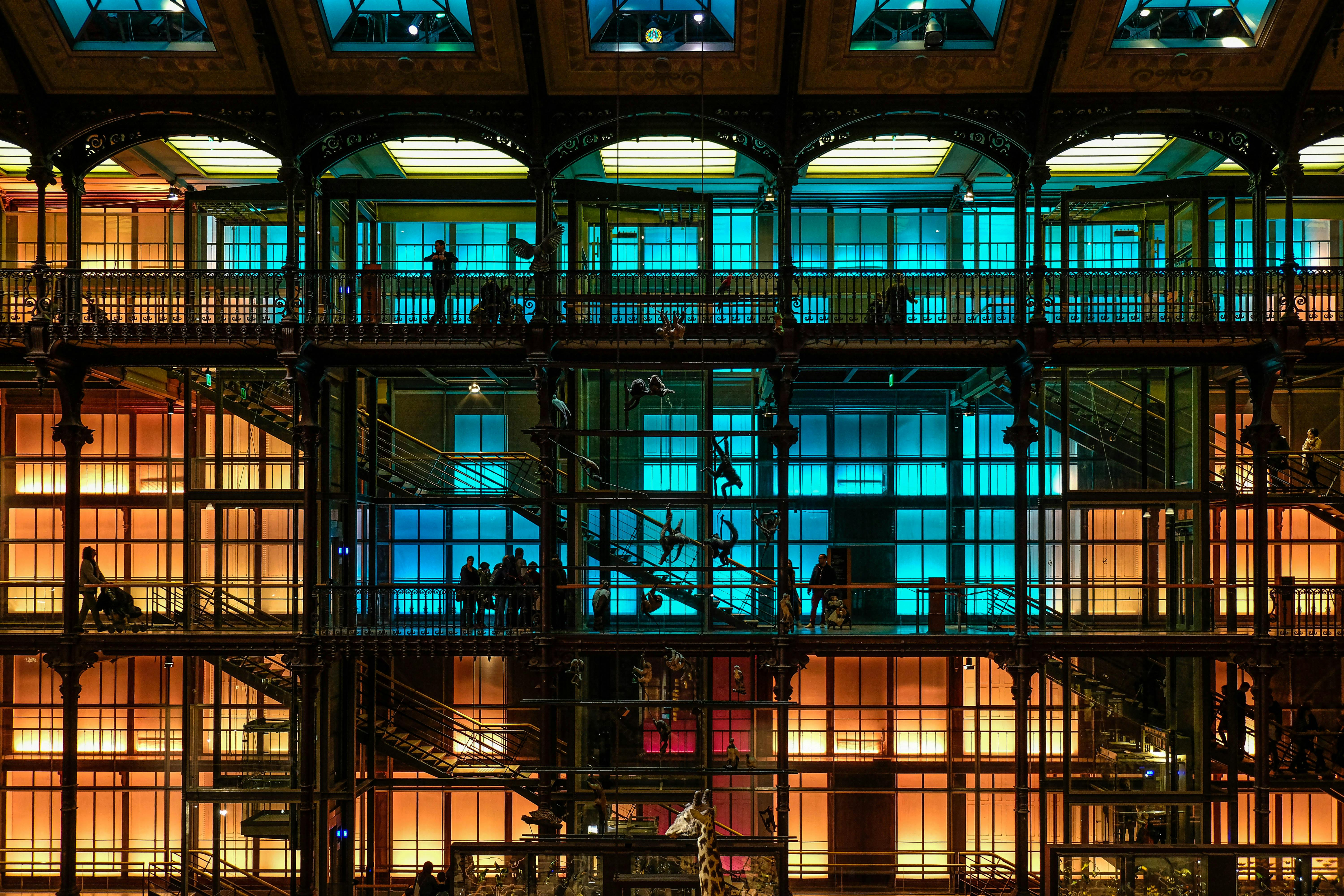 People Walking Inside the Building · Free Stock Photo