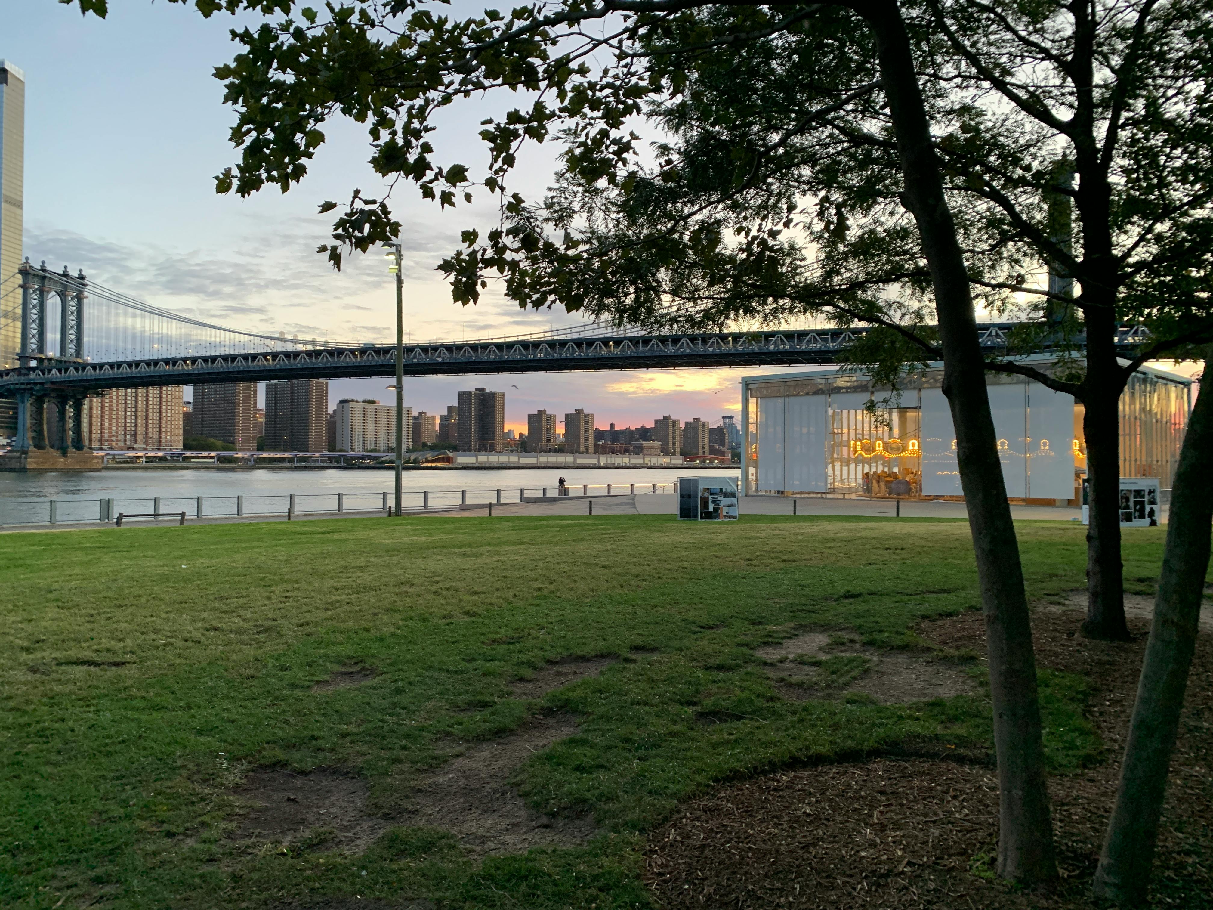 New York 28 Photos & Videos Collected by Joseph Eulo