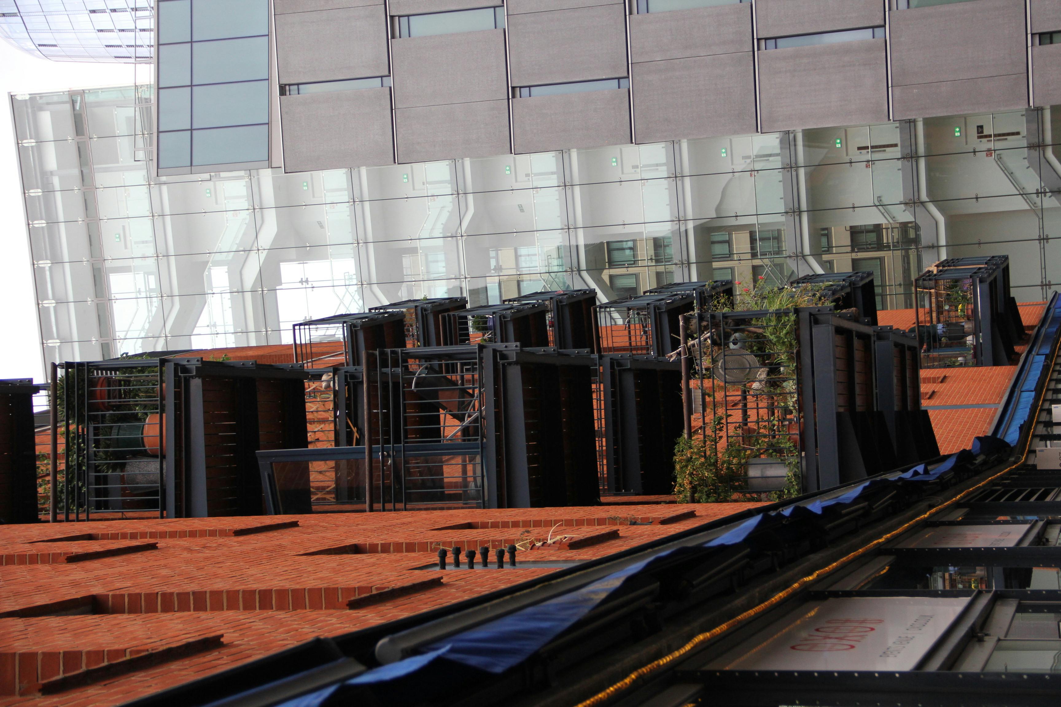 Ralph Burrows - Fotografía