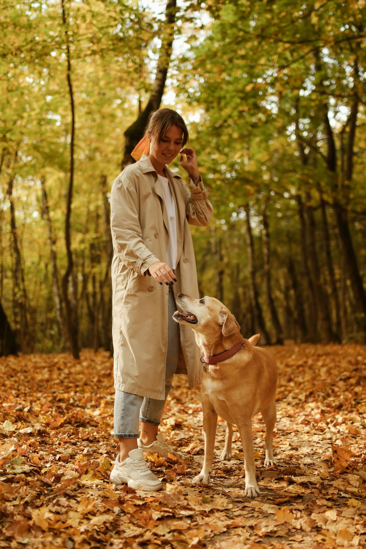 Dog And Woman Photos, Download The BEST Free Dog And Woman Stock Photos ...
