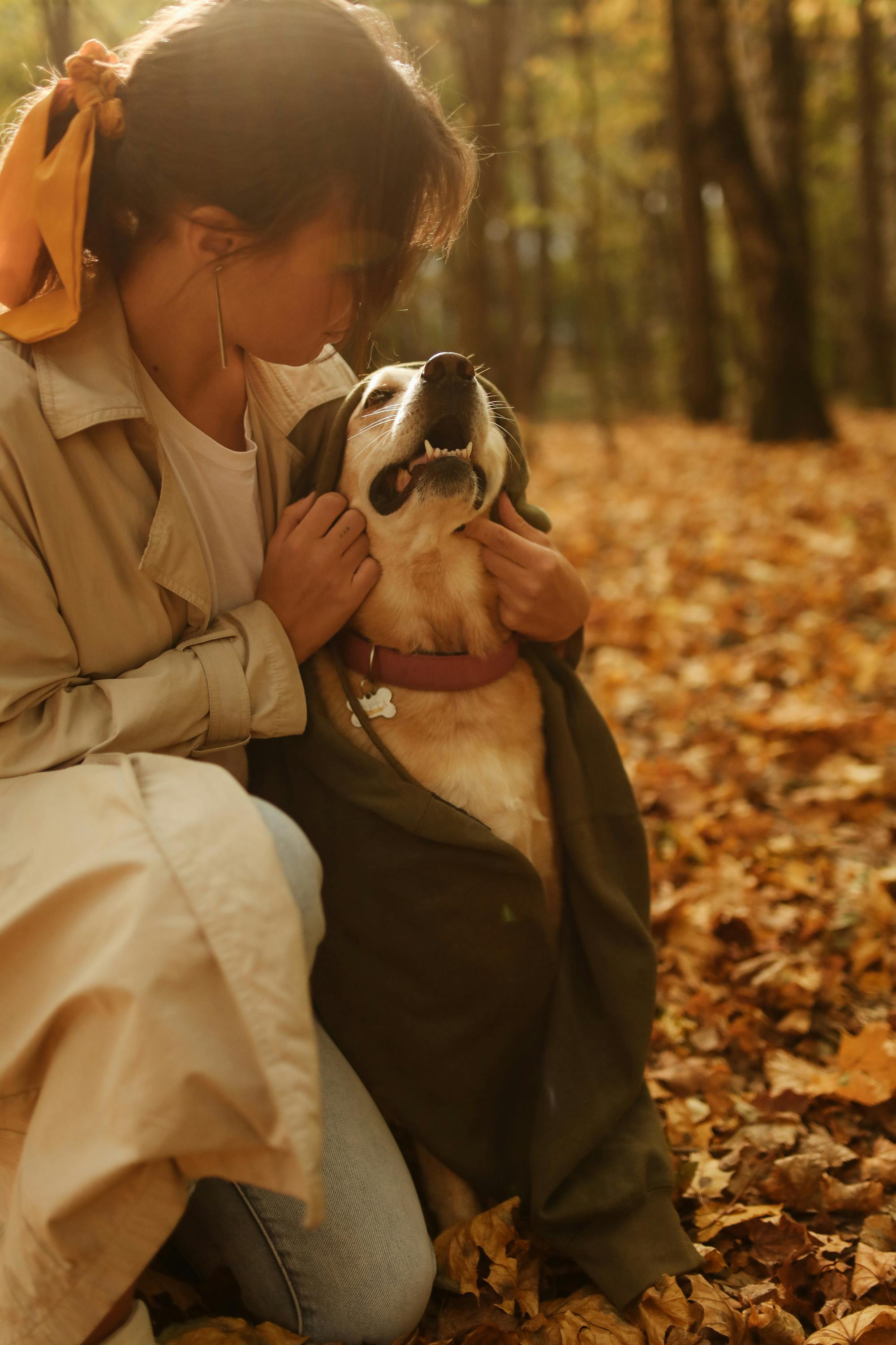 Woman Looking at her Dog's Face · Free Stock Photo