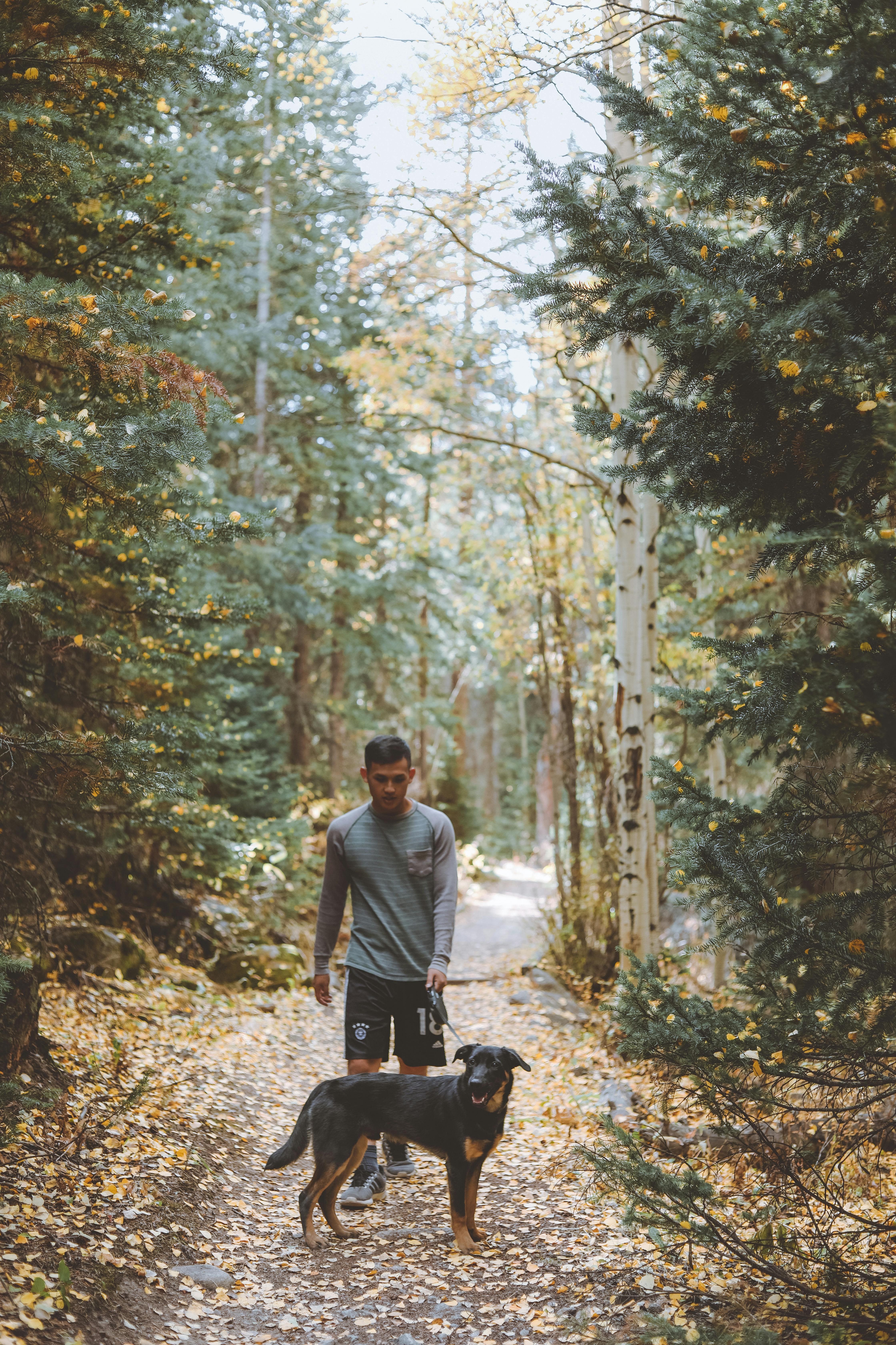 Ethnic man hunkering down near black dog in autumn forest · Free Stock ...