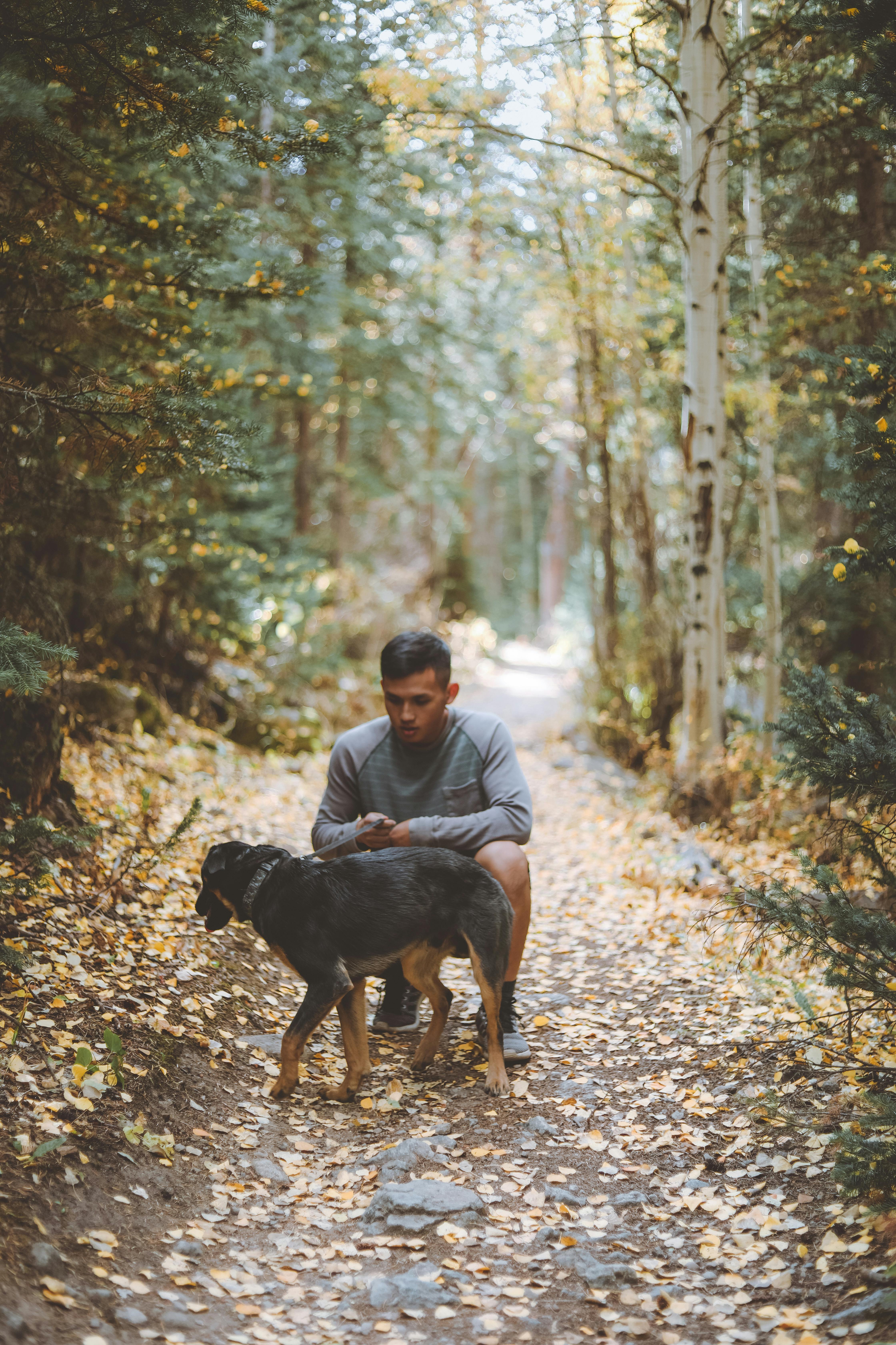 Ethnic man hunkering down near black dog in autumn forest · Free Stock ...