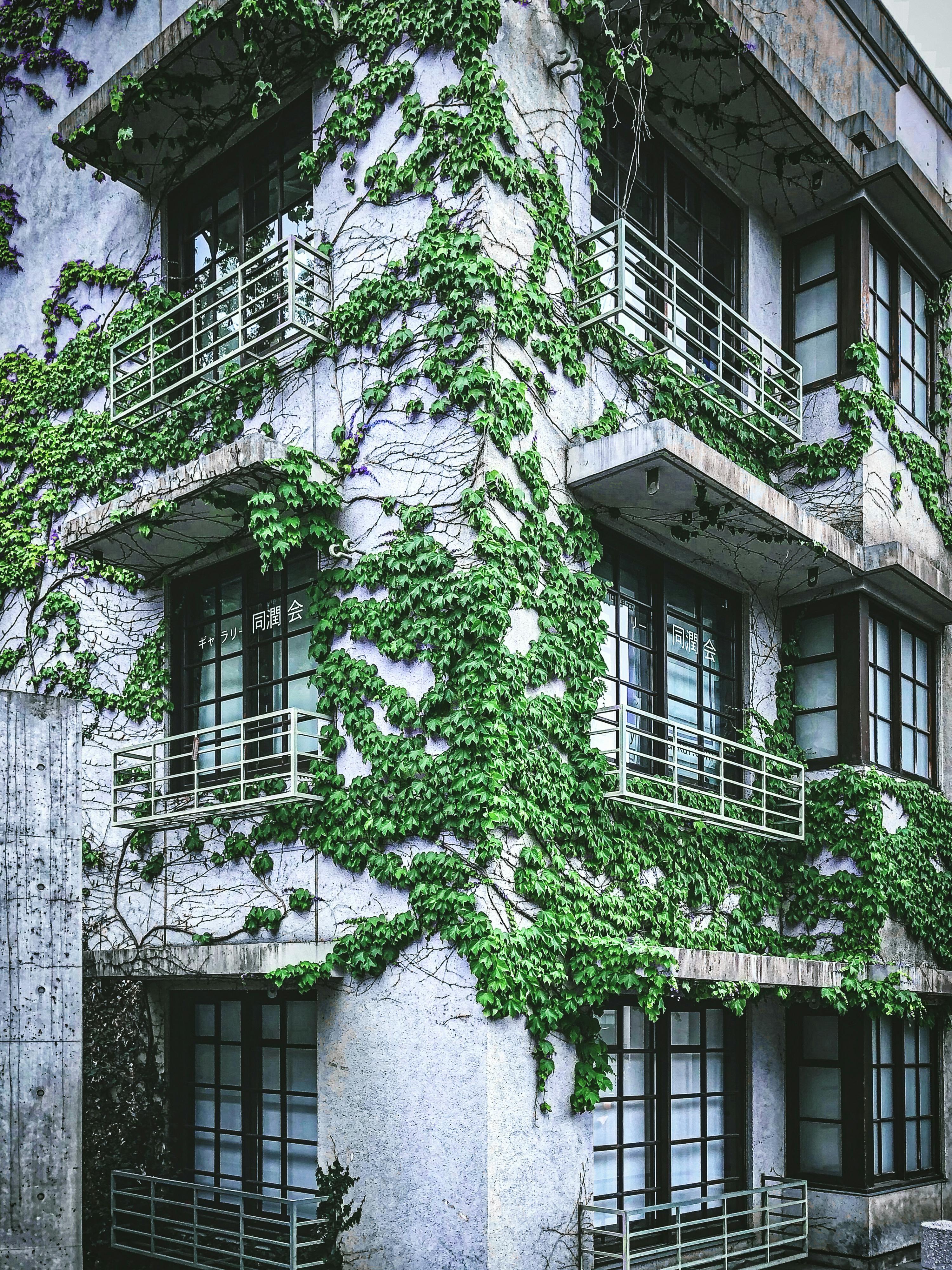 Vines on a Building with Balconies · Free Stock Photo