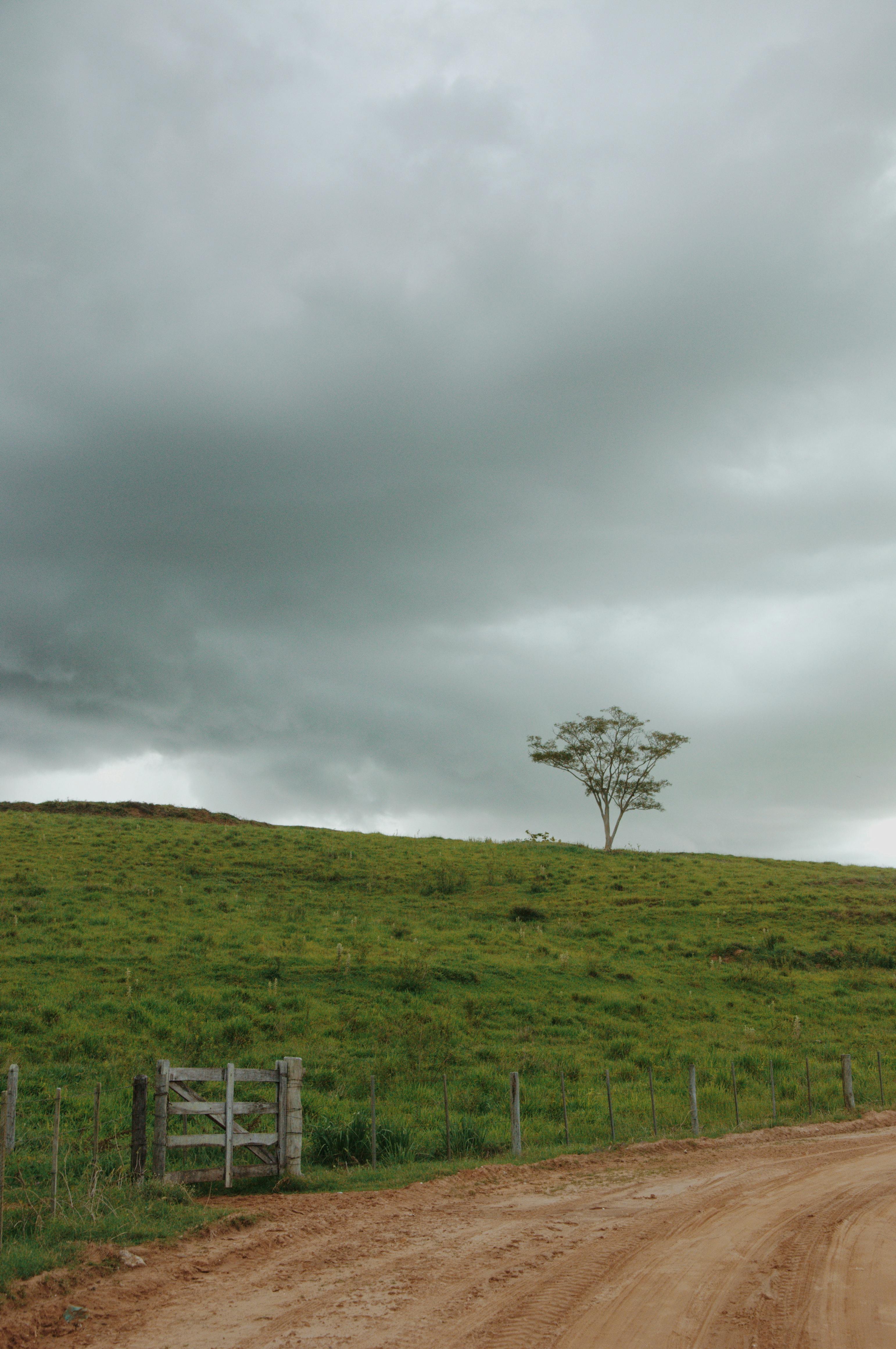 Foto profissional gratuita de ambiente ao ar livre, ambiente calmo ...