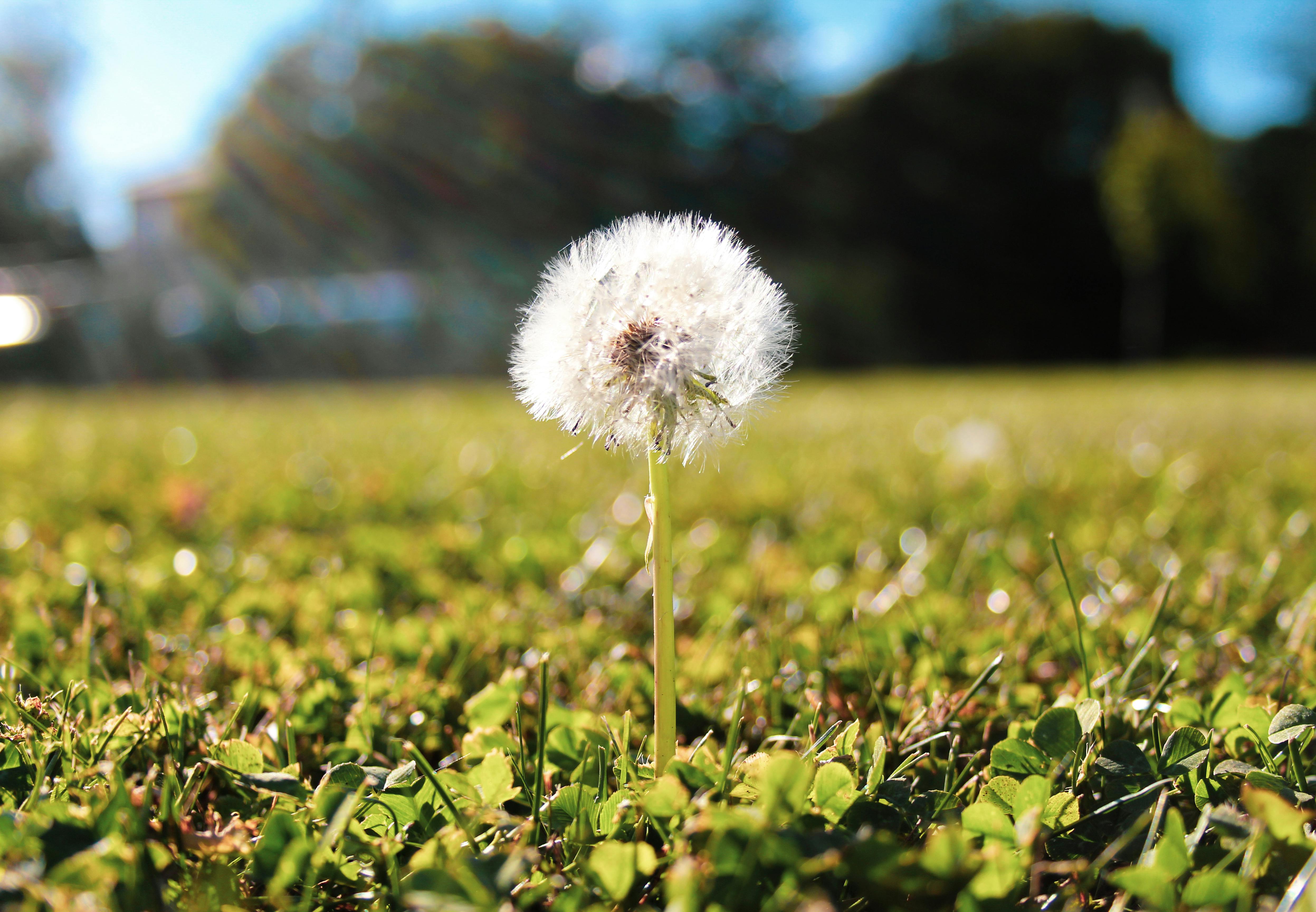 Calvin Hanson - Photography