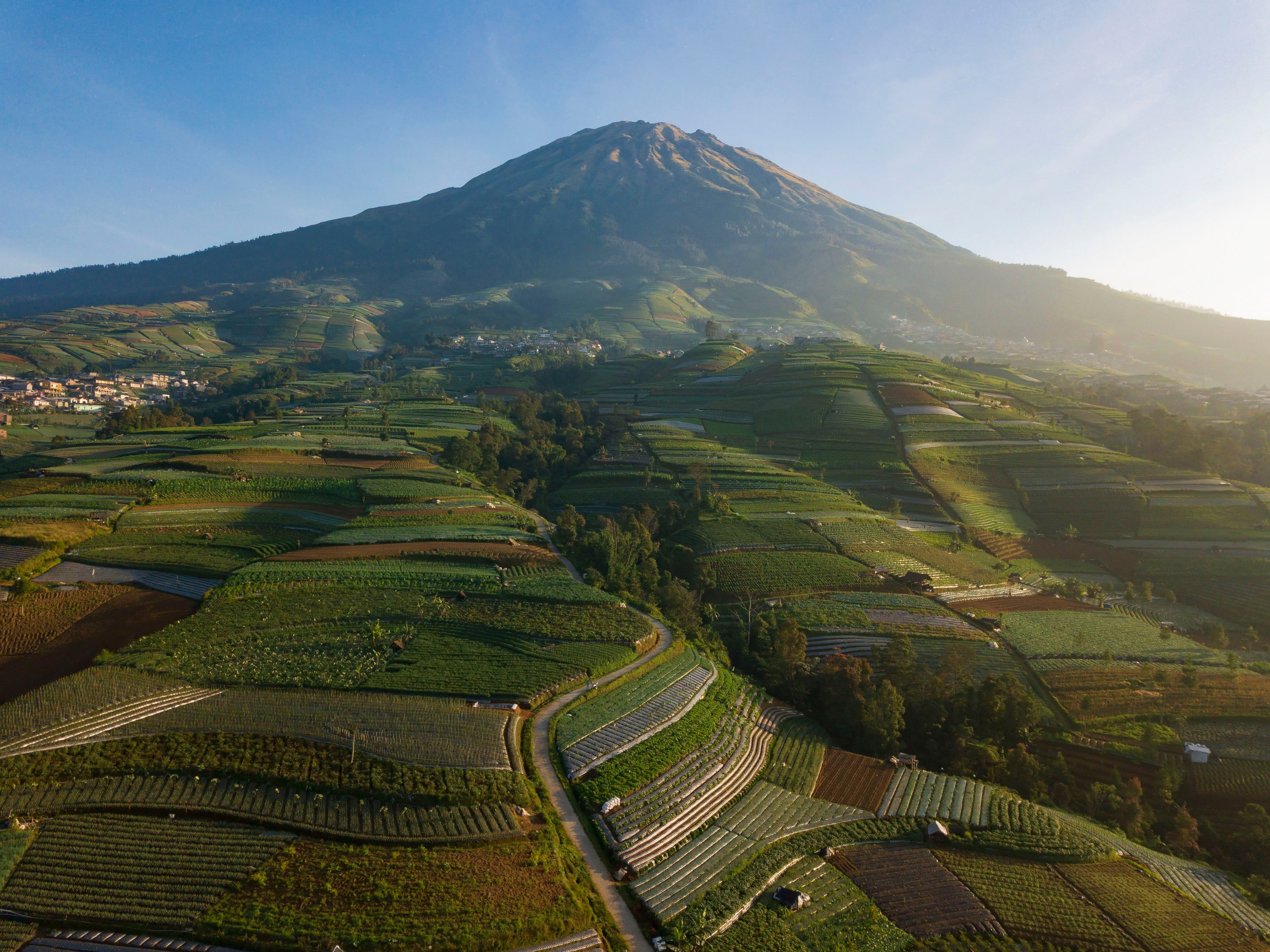 Field in a Mountain Valley in Sunlight · Free Stock Photo