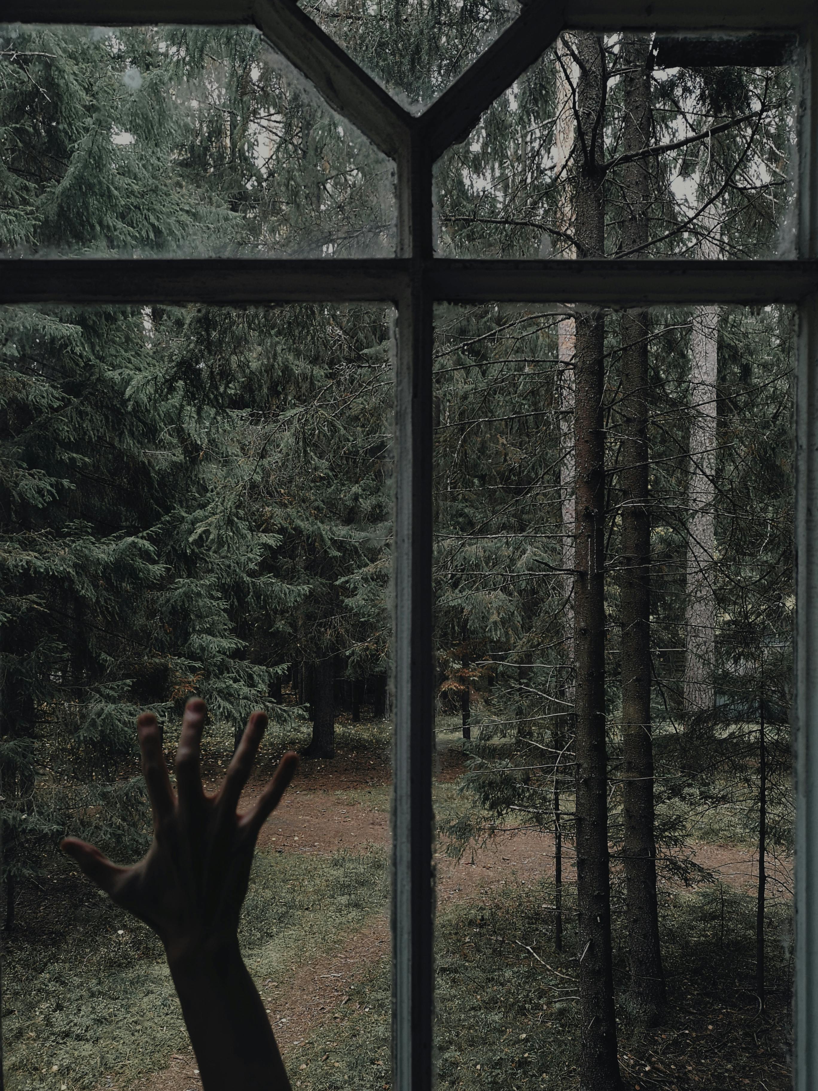 Hand in Front of a Window with a View of Forest · Free Stock Photo