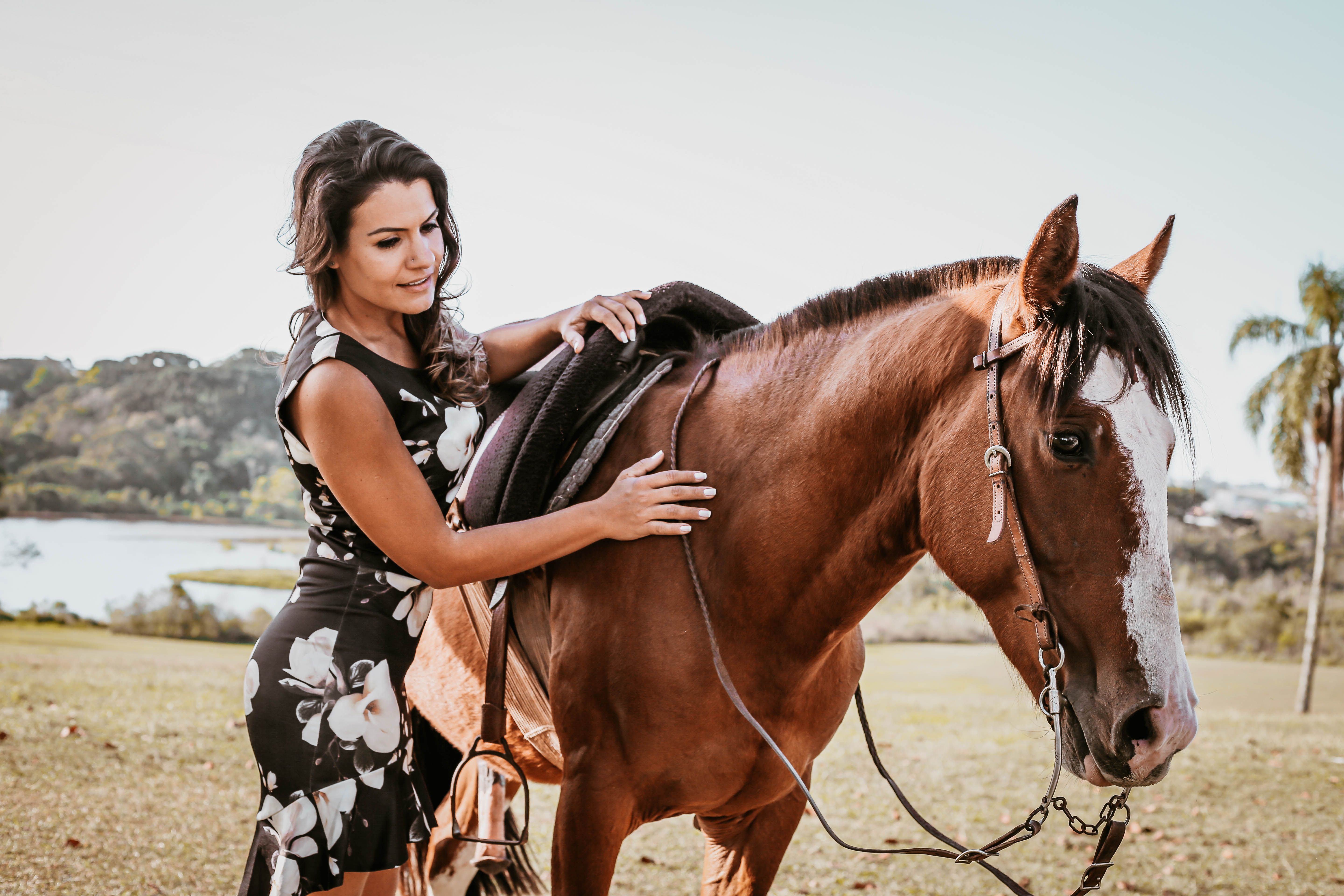 Woman and Horse · Free Stock Photo