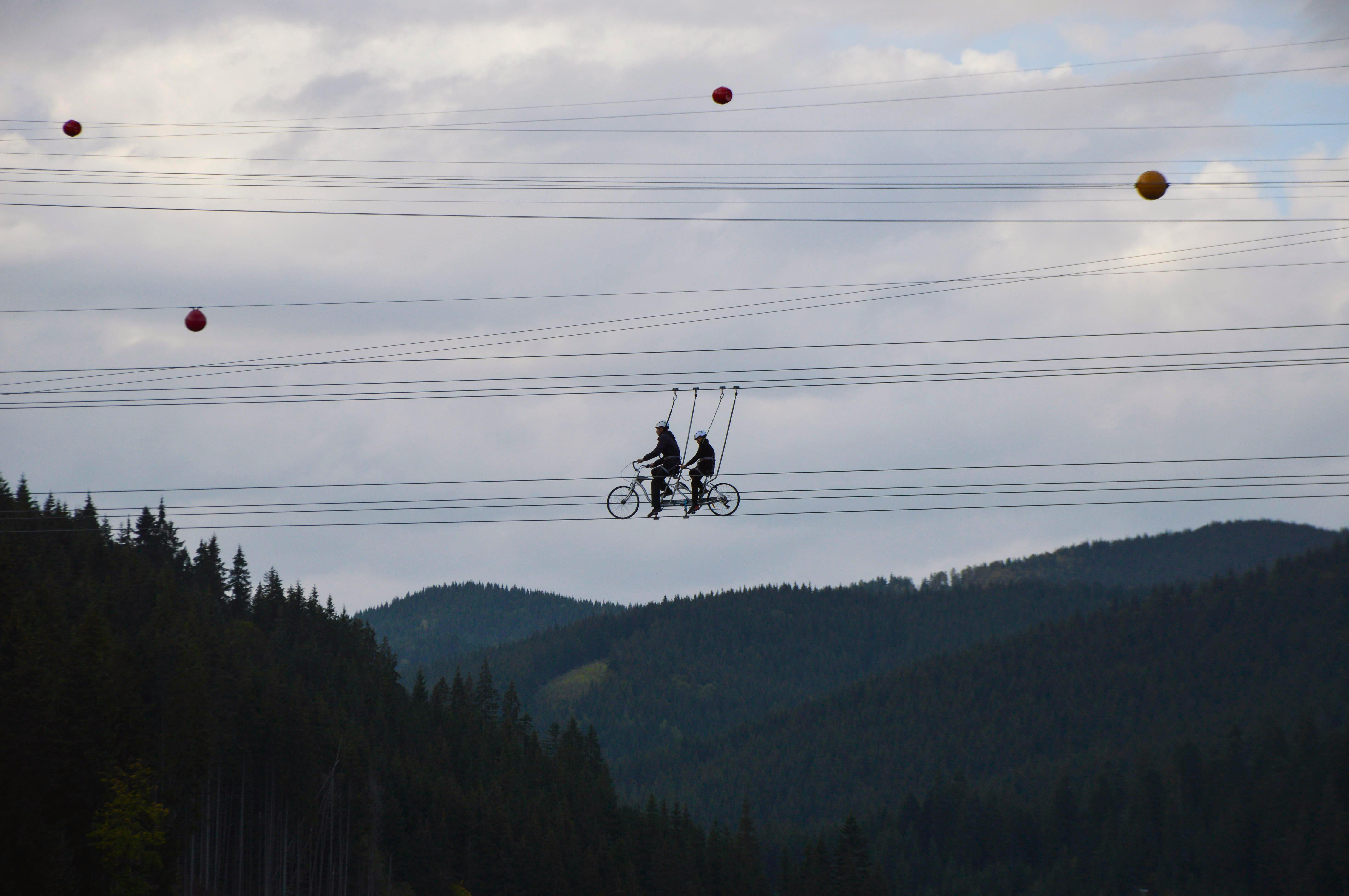 2 Persons Riding Bicycle Over Green Trees · Free Stock Photo
