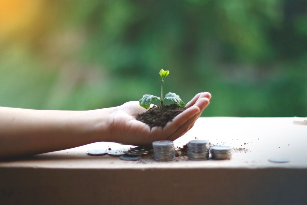 Green Banking Explained: Sustainable Financial Solutions