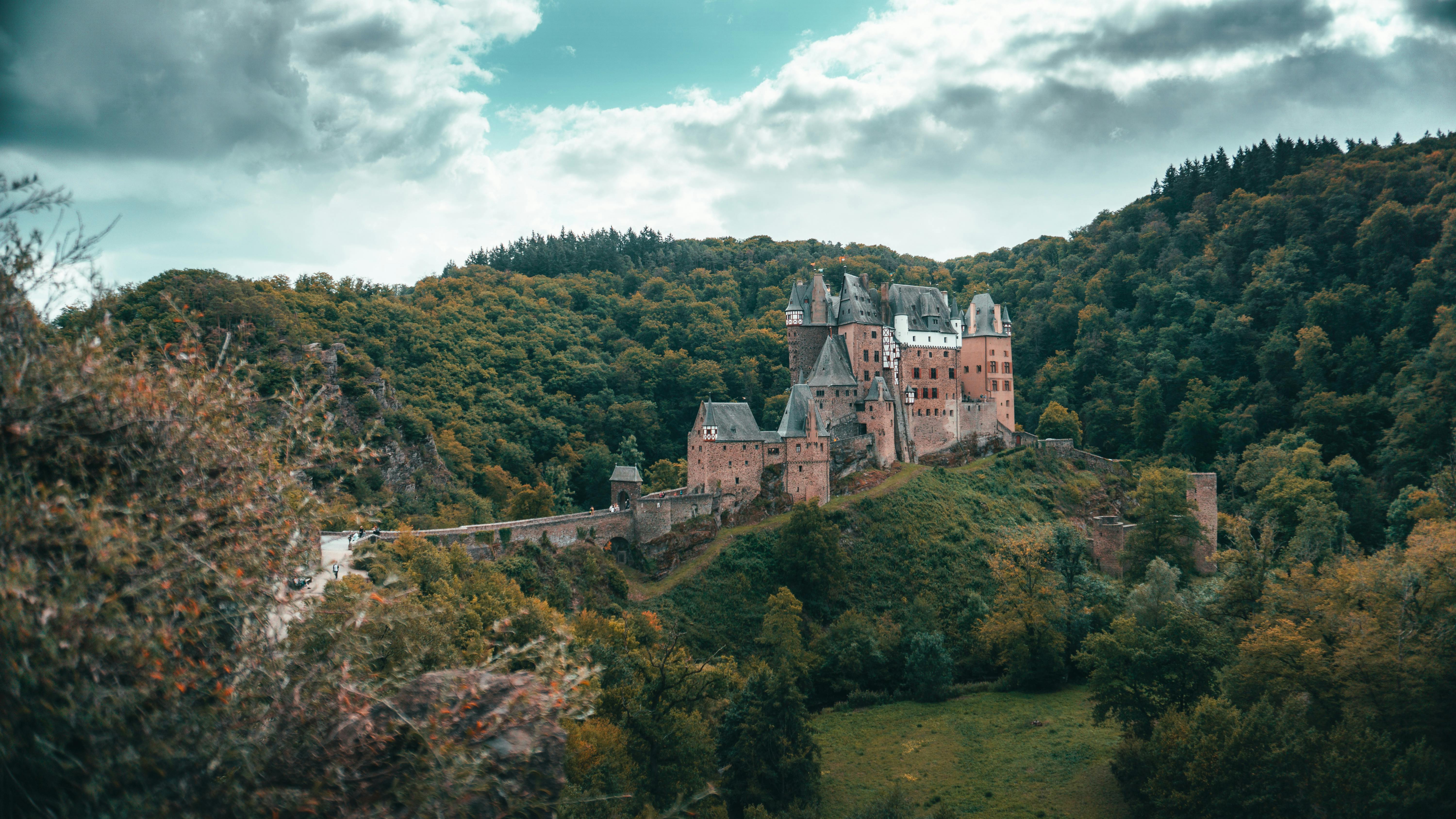 Ancient Old Castle on Hill in Forest · Free Stock Photo