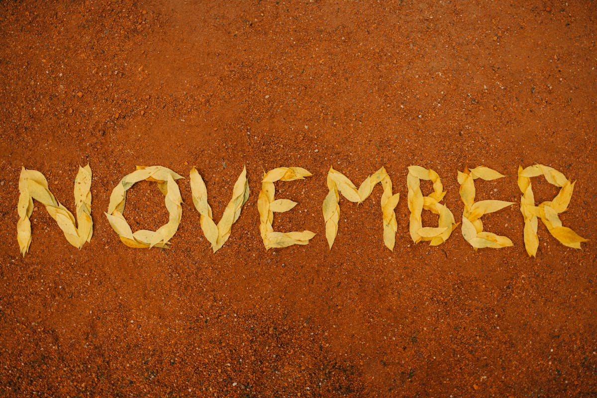 November Photos, Download The BEST Free November Stock Photos & HD Images