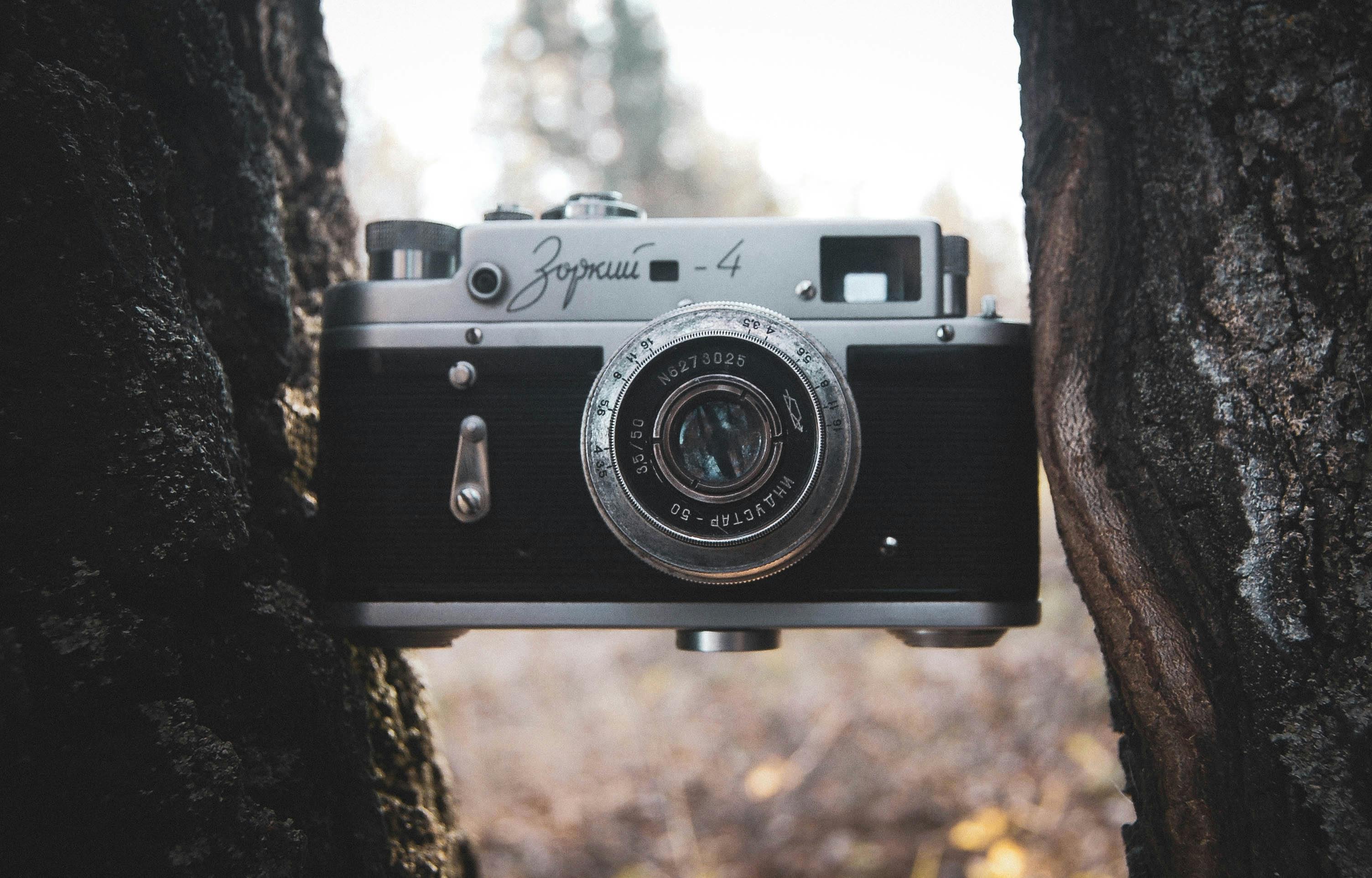 Rivwe Between Trees Photos, Download The BEST Free Rivwe Between Trees ...