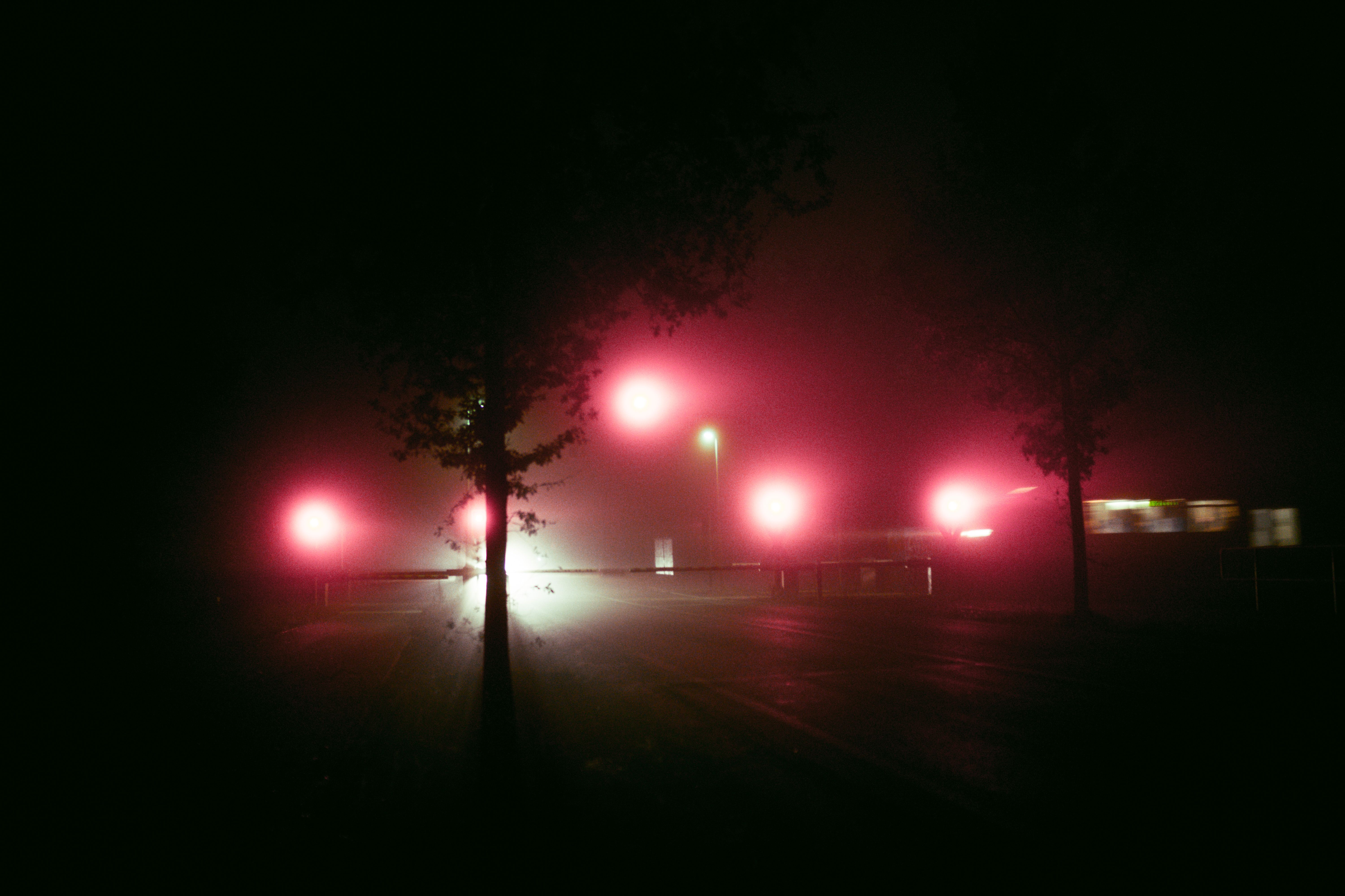 Bright Lights on Road at Night · Free Stock Photo