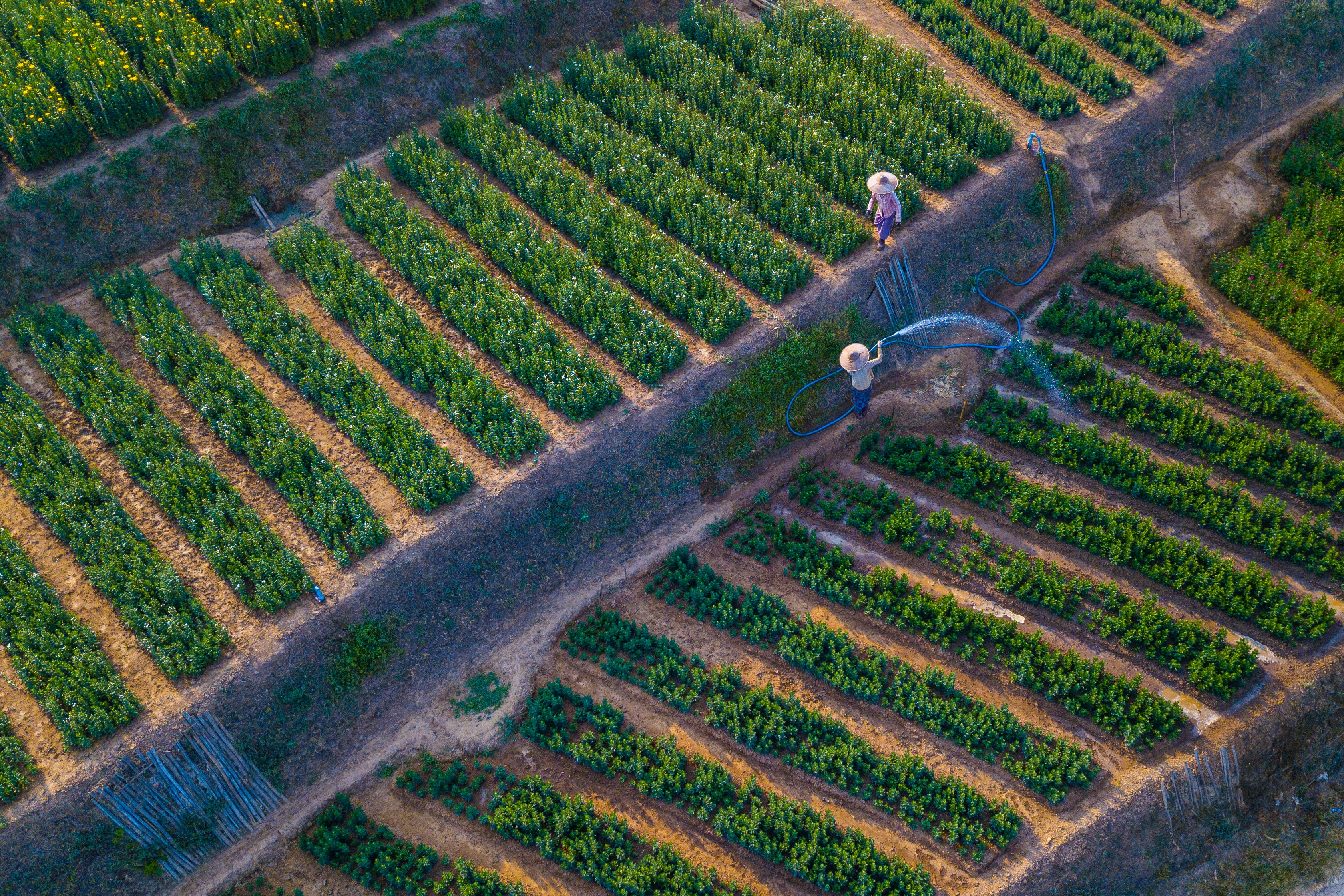 Aerial View of Tractor Landscape Rake on Green Grass Field · Free Stock ...