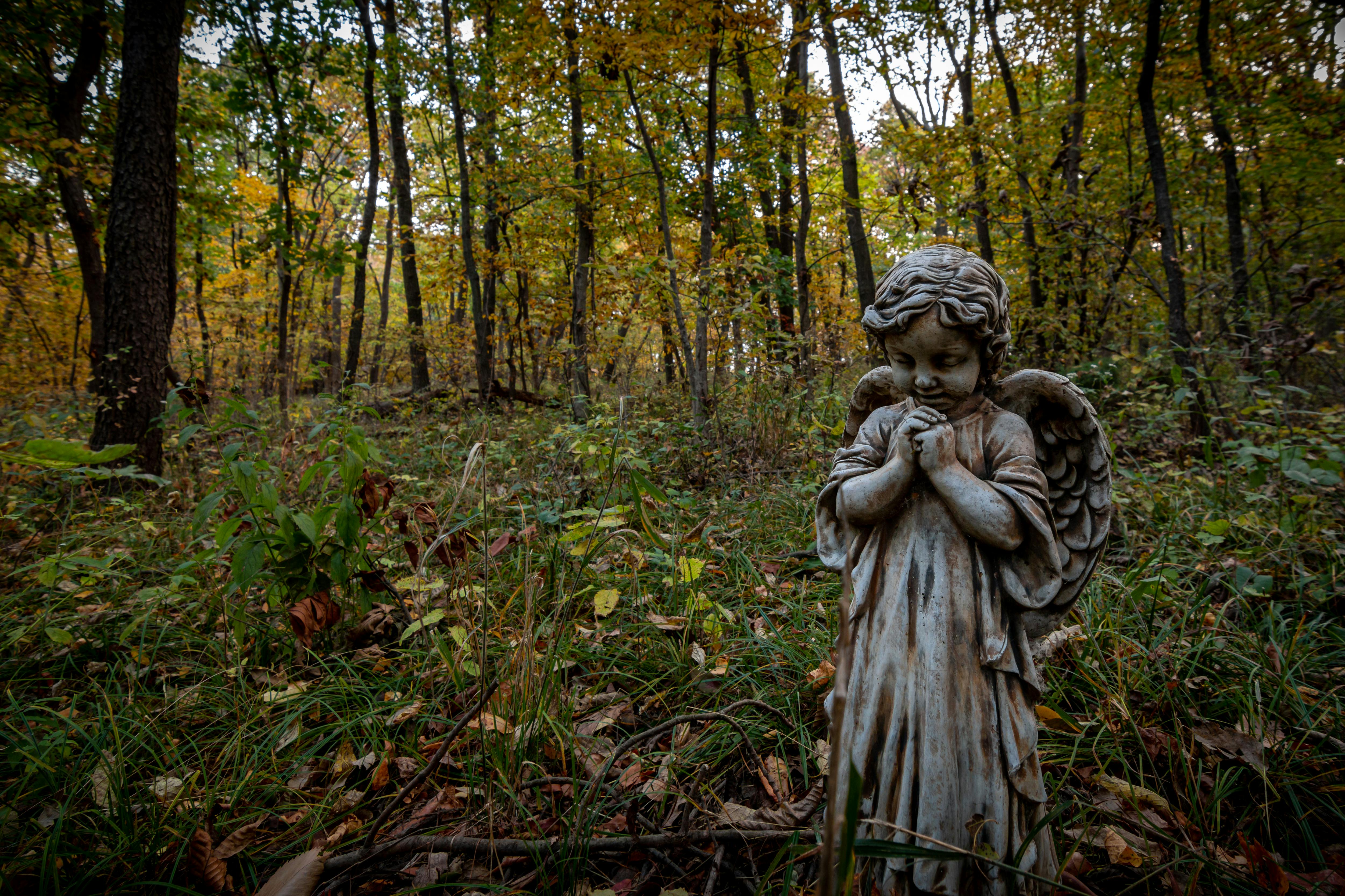 Angel Statue at a Forest · Free Stock Photo