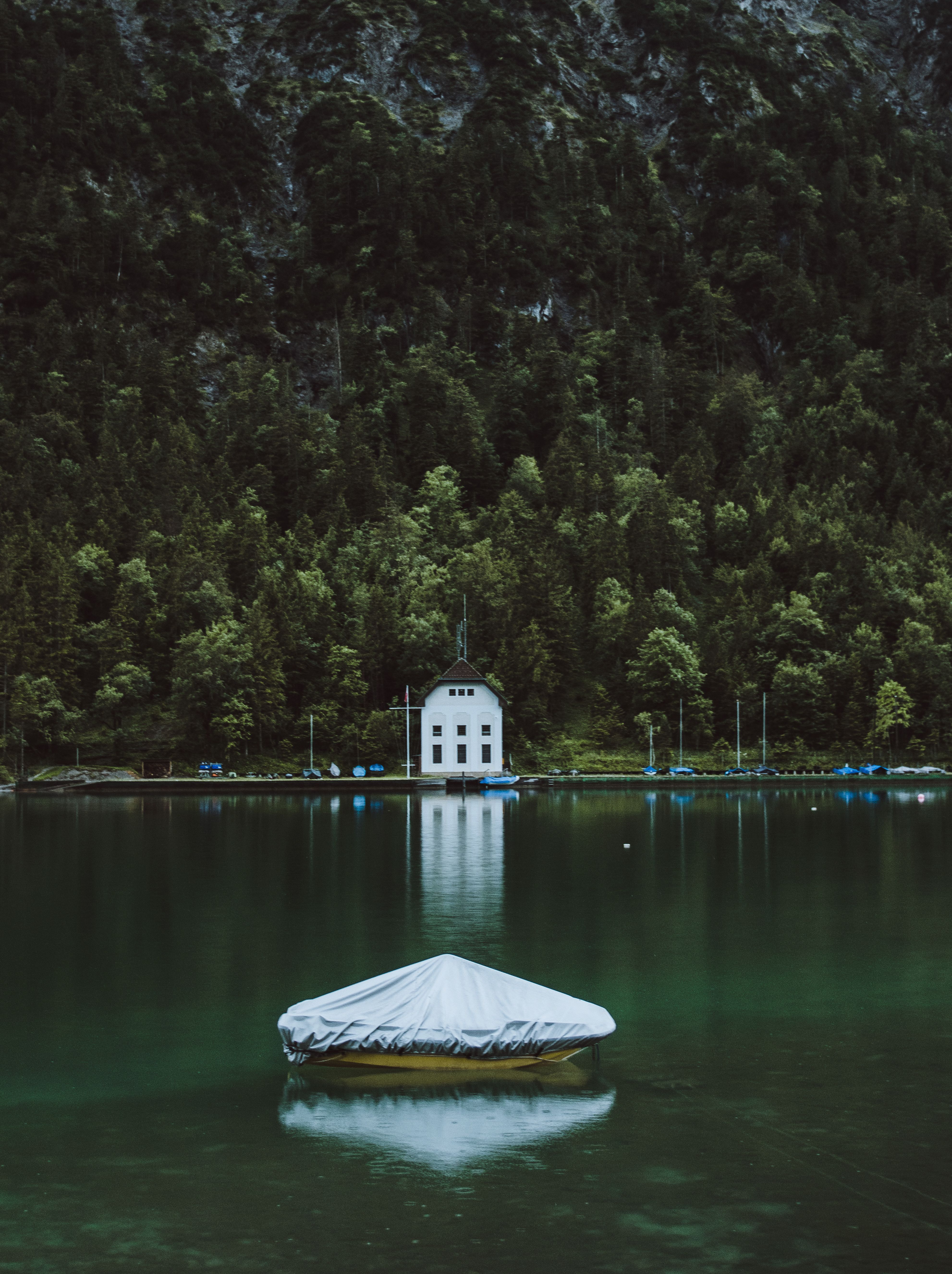 Floater on a Lake · Free Stock Photo