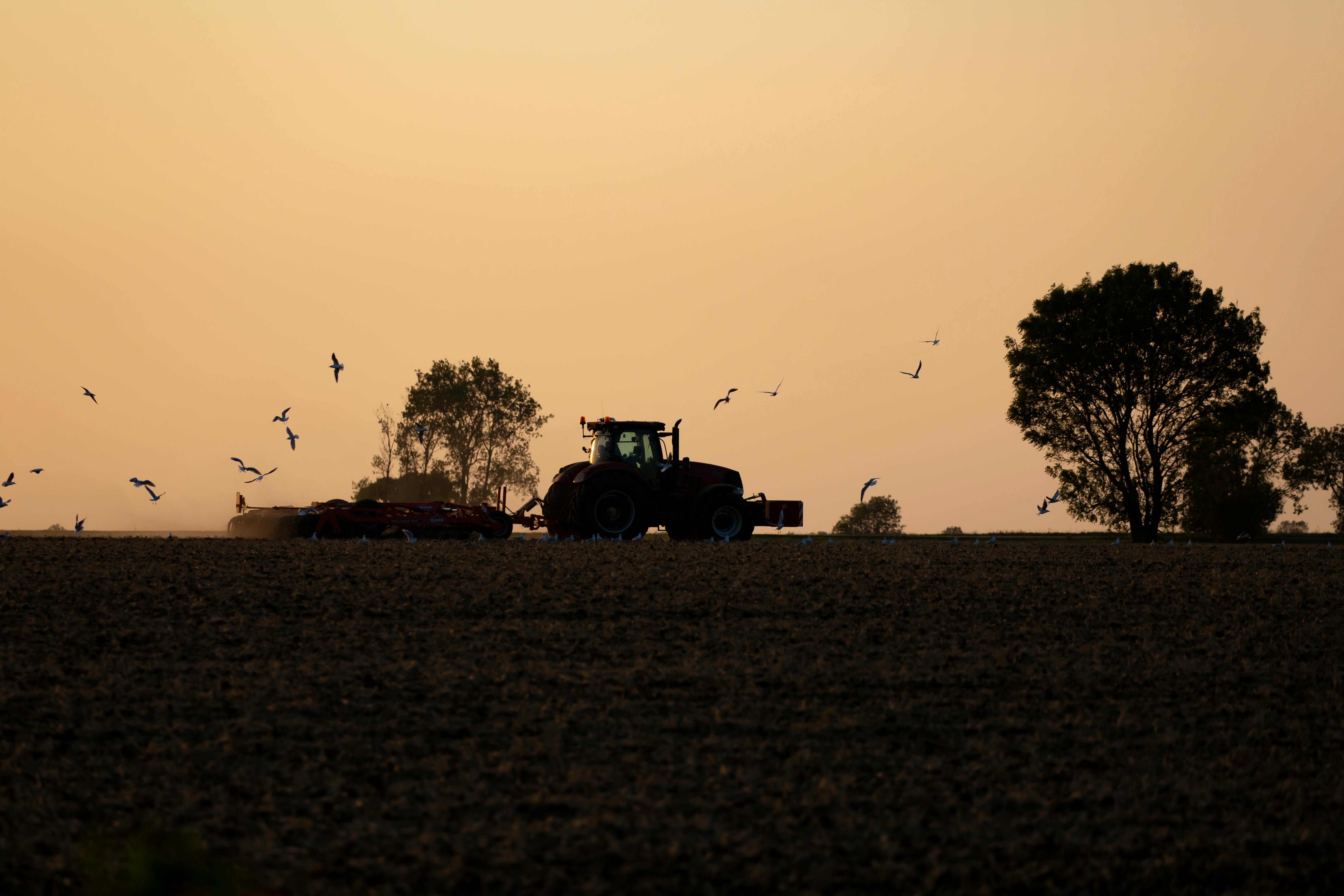 Yellow Farm Equipment on Green Grass Field · Free Stock Photo