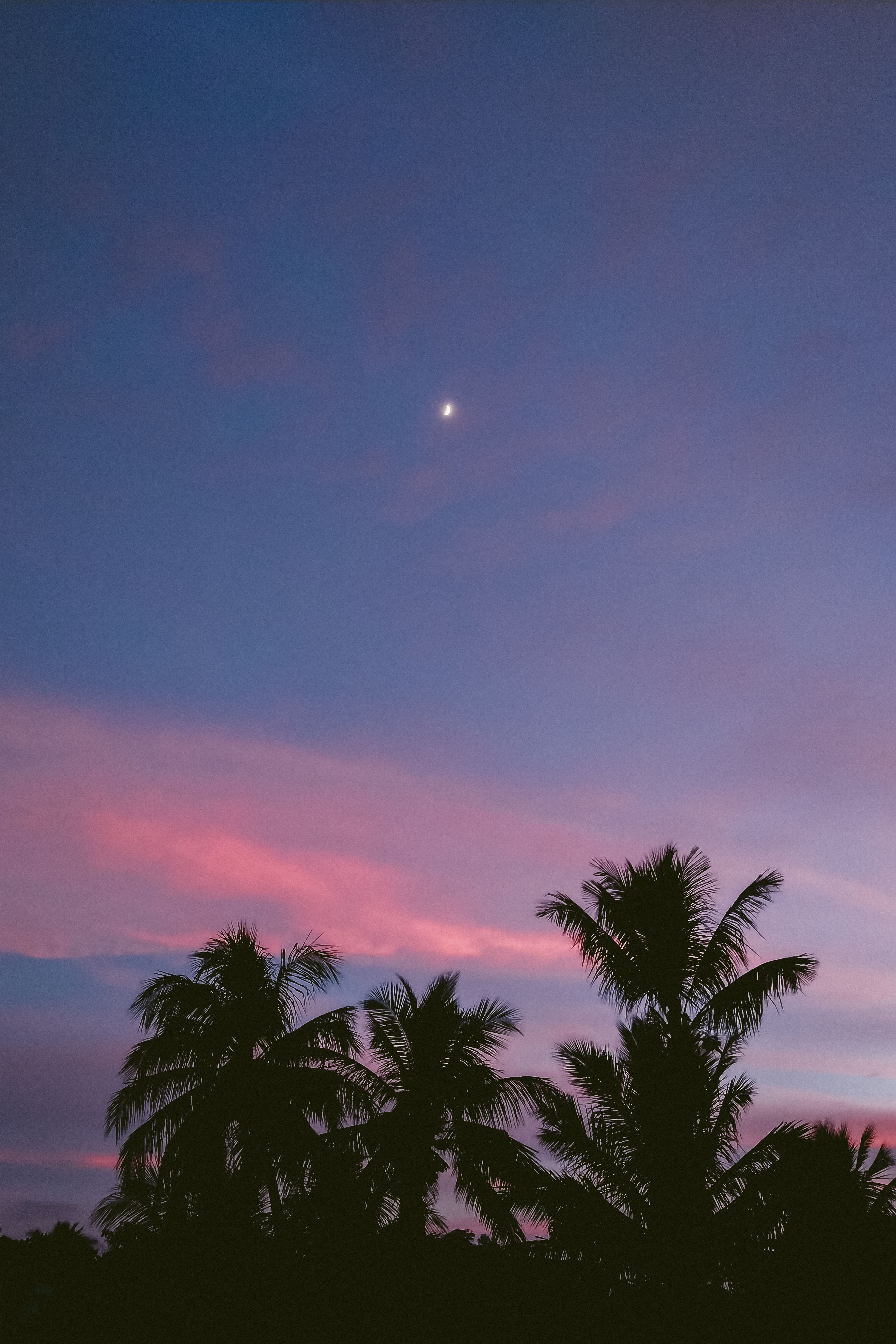 First Day Moon Free For Commercial Use Vertical Image Photos, Download ...