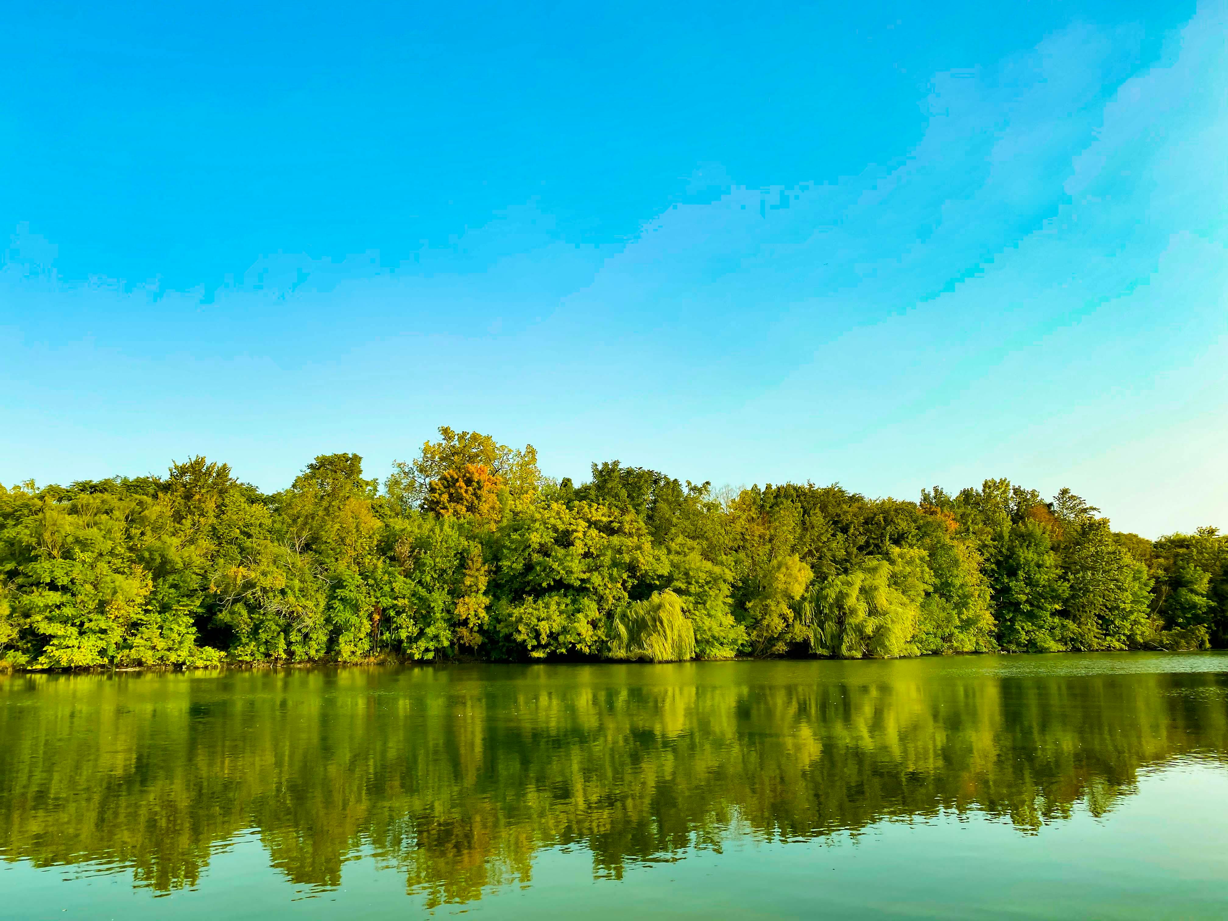 Green Trees Beside Body of Water · Free Stock Photo