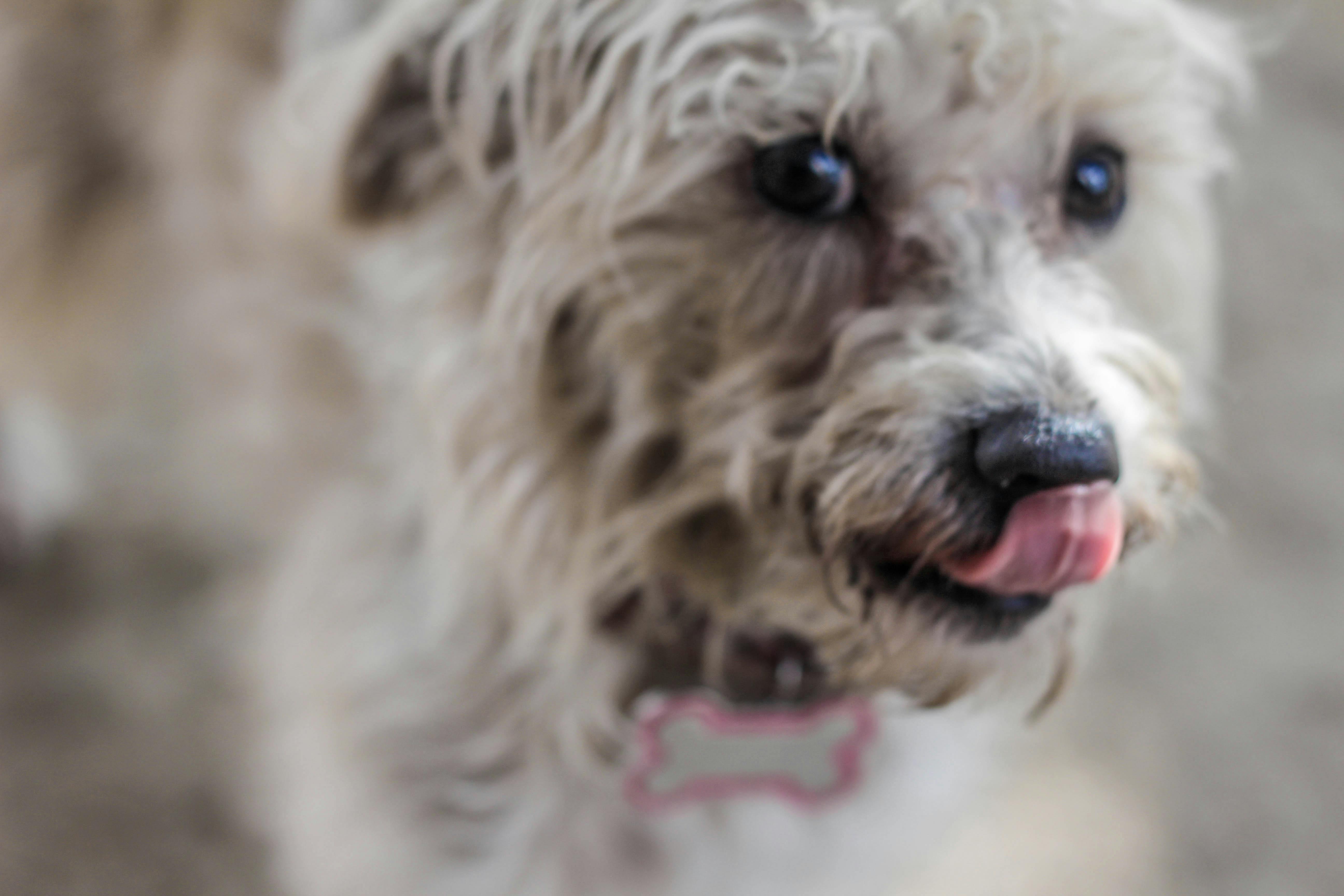 Mutukwa Brian - Fotografía