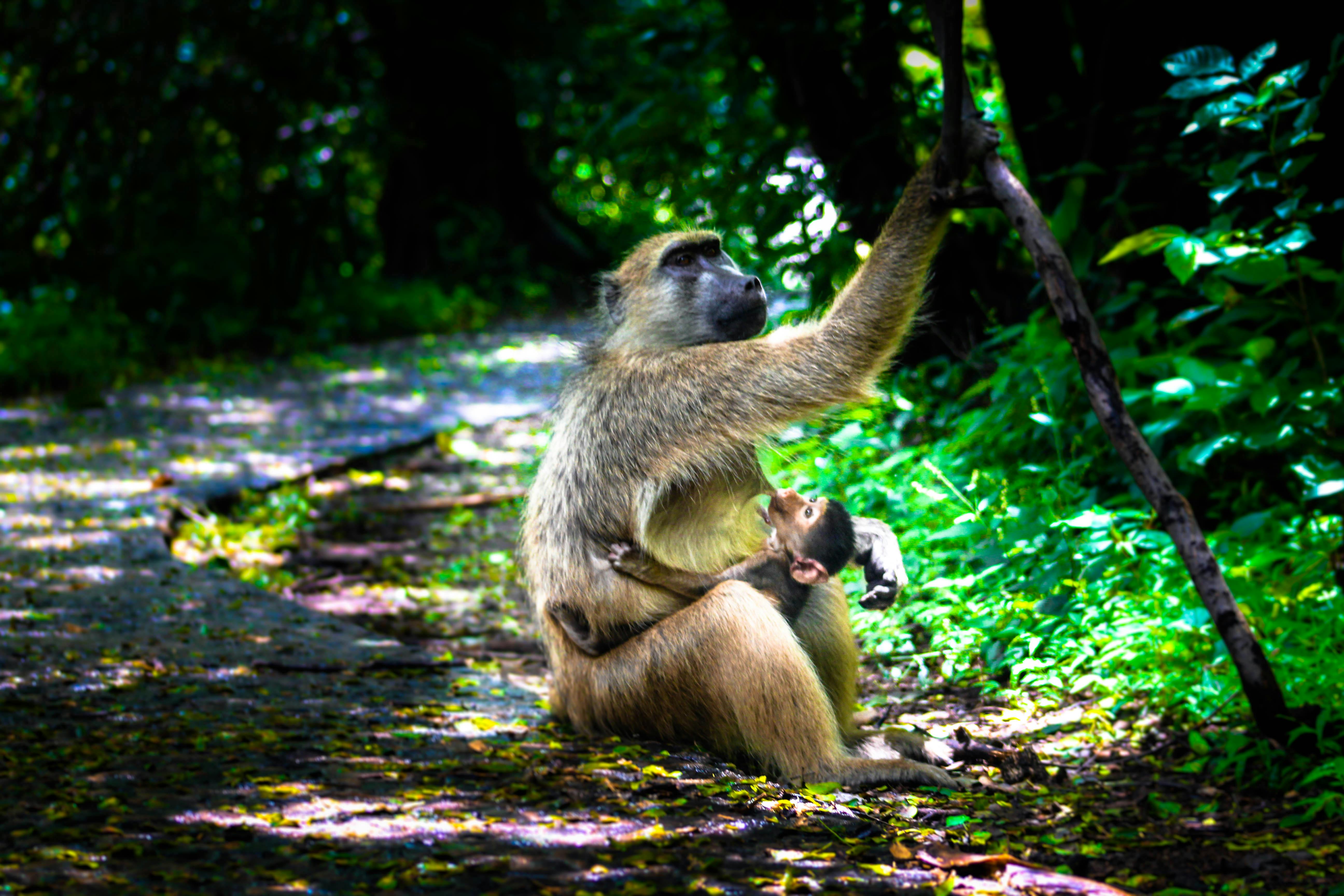 Mutukwa Brian - Fotografía