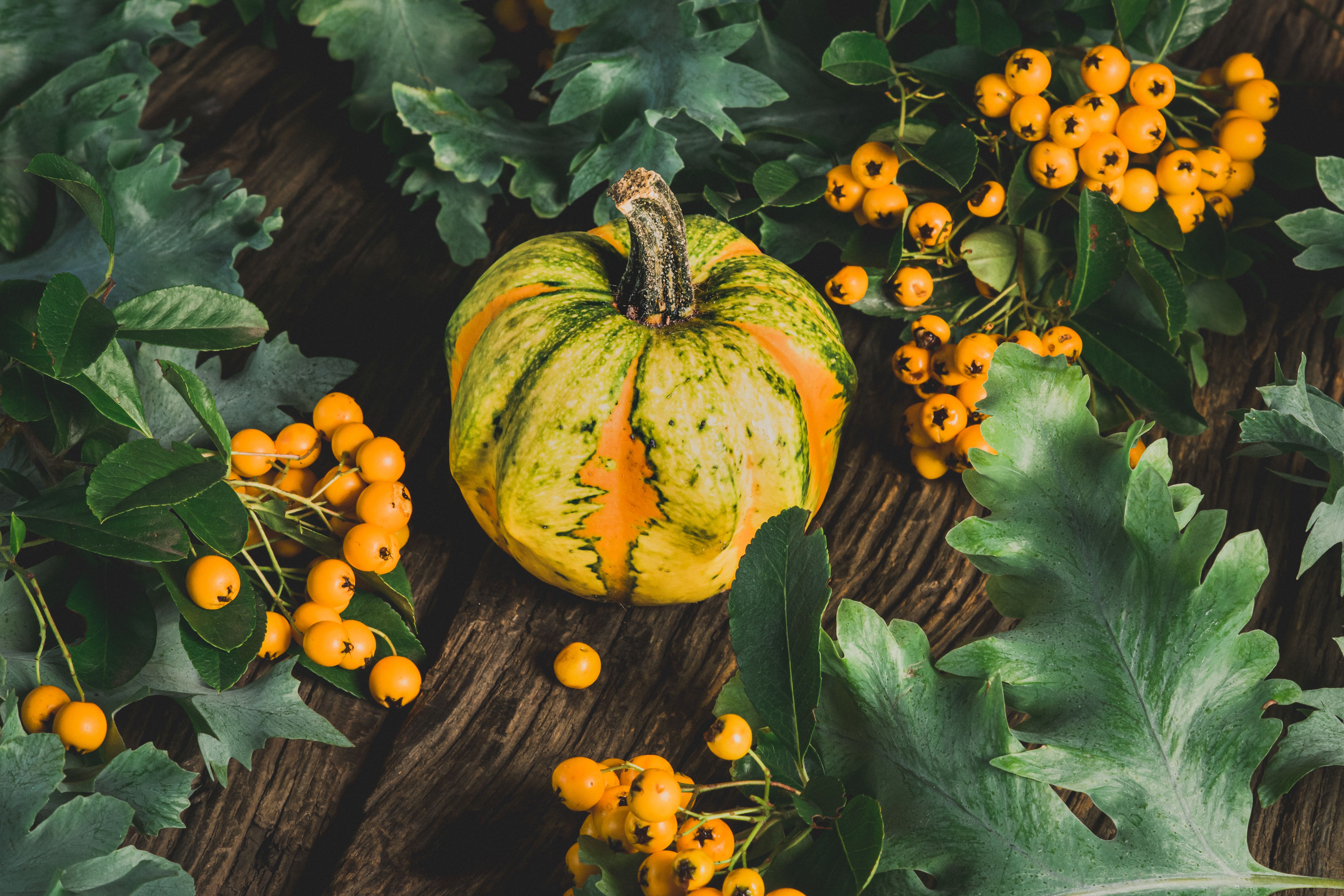 Pumpkin on Wooden Surface · Free Stock Photo
